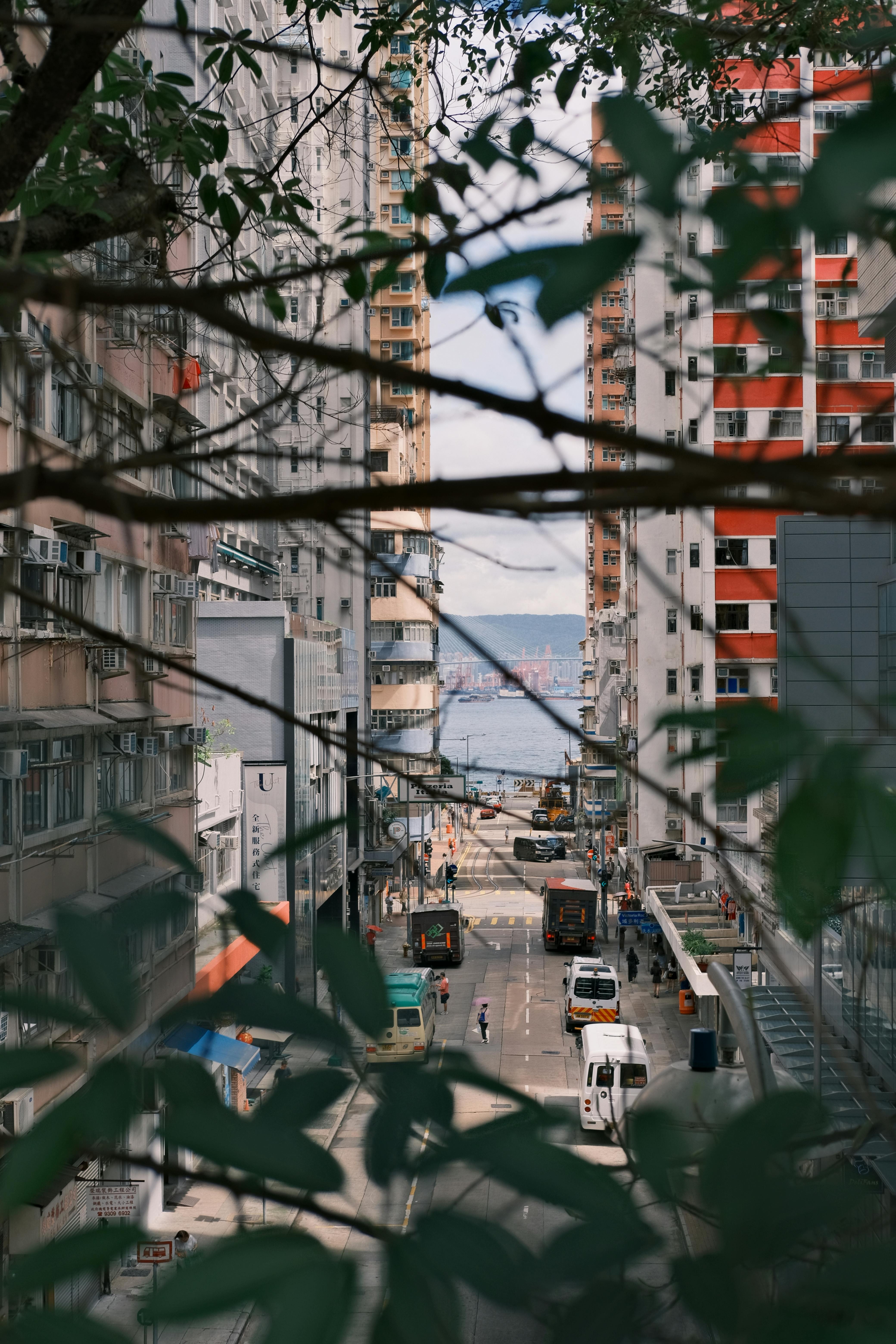 A view of a city street from a tree · Free Stock Photo