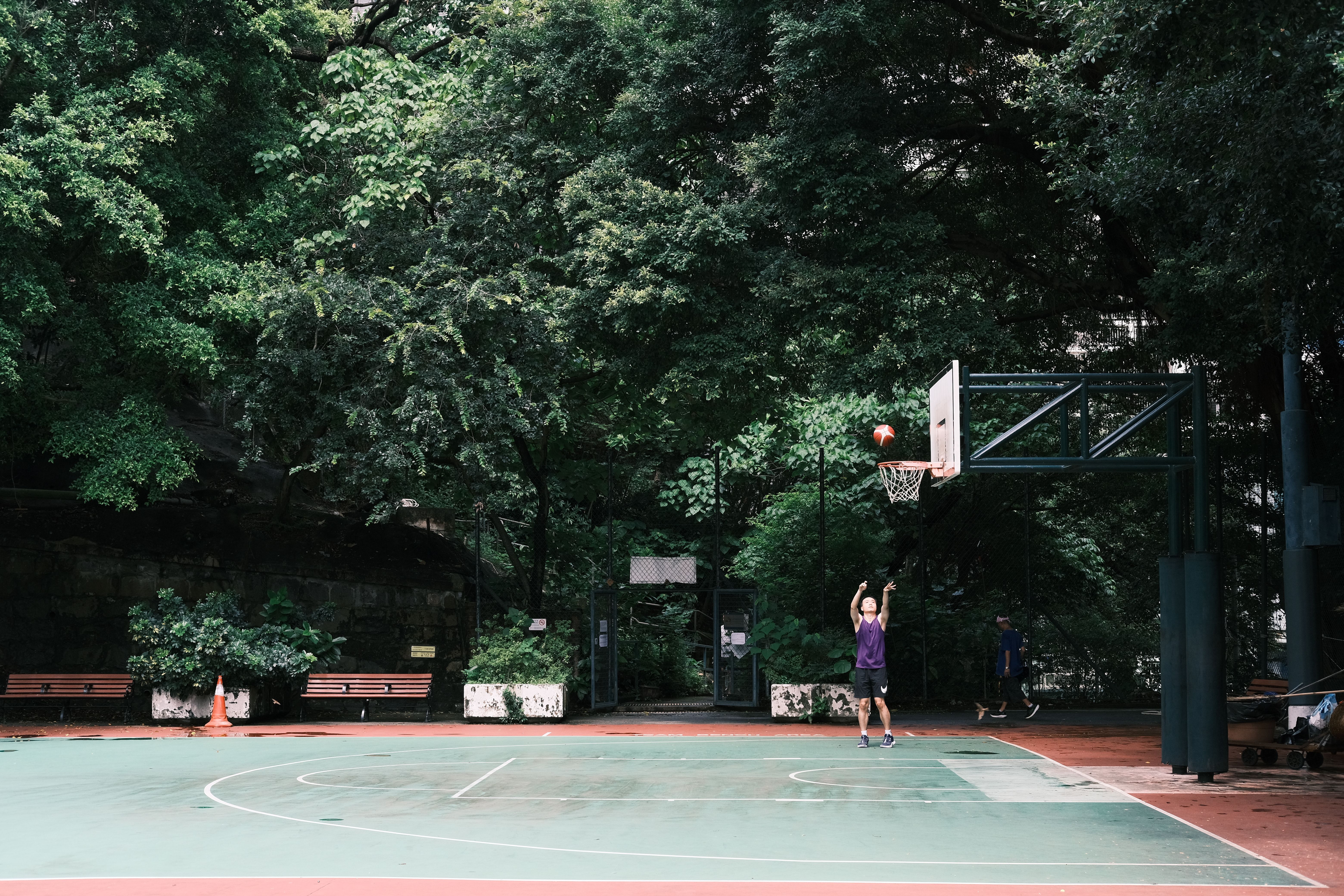 Tree Lined Court Photos, Download The BEST Free Tree Lined Court Stock ...