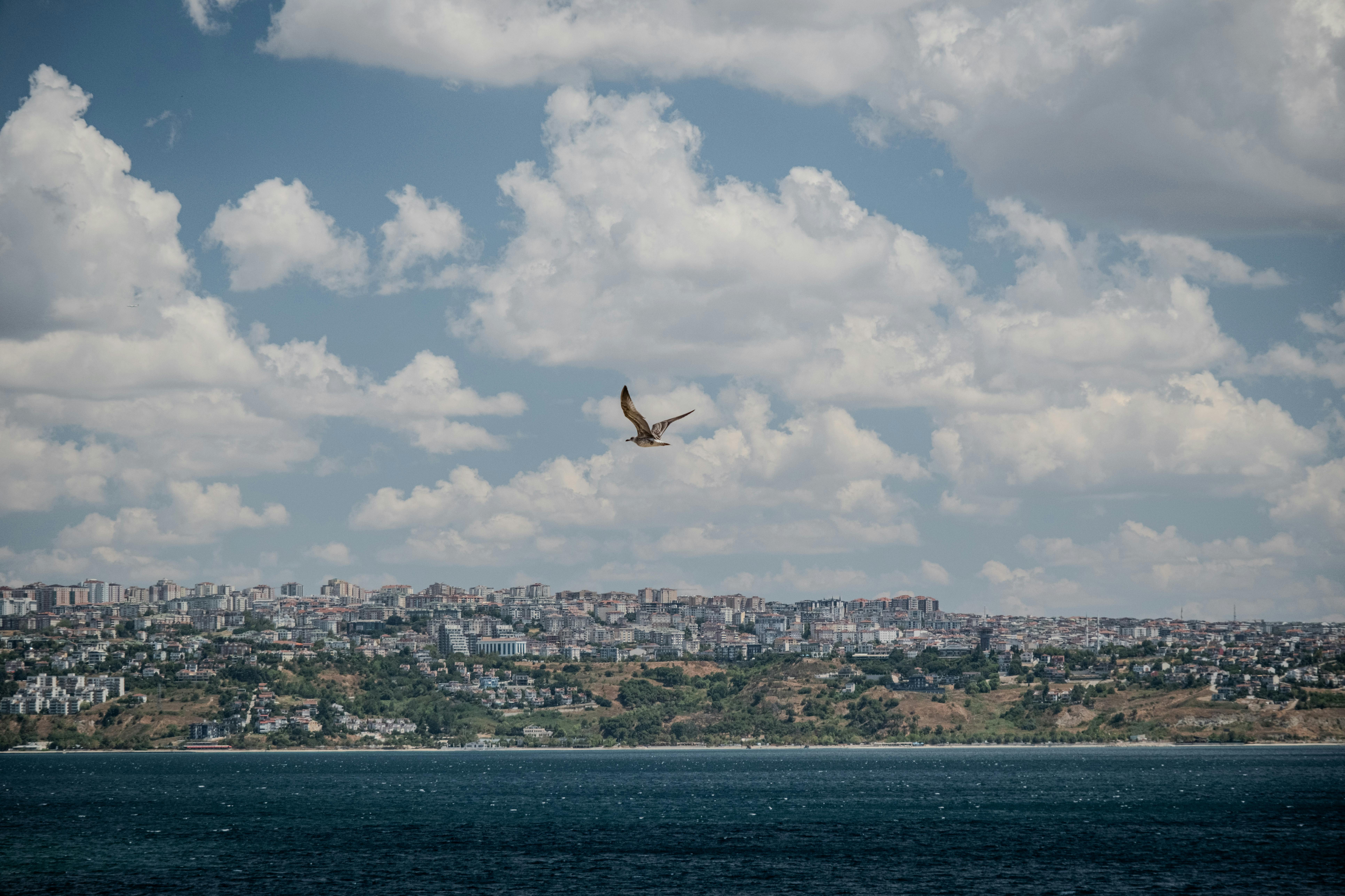 8+ Fotos y Imágenes de Rubriks kus Gratis · Banco de Fotos Gratis