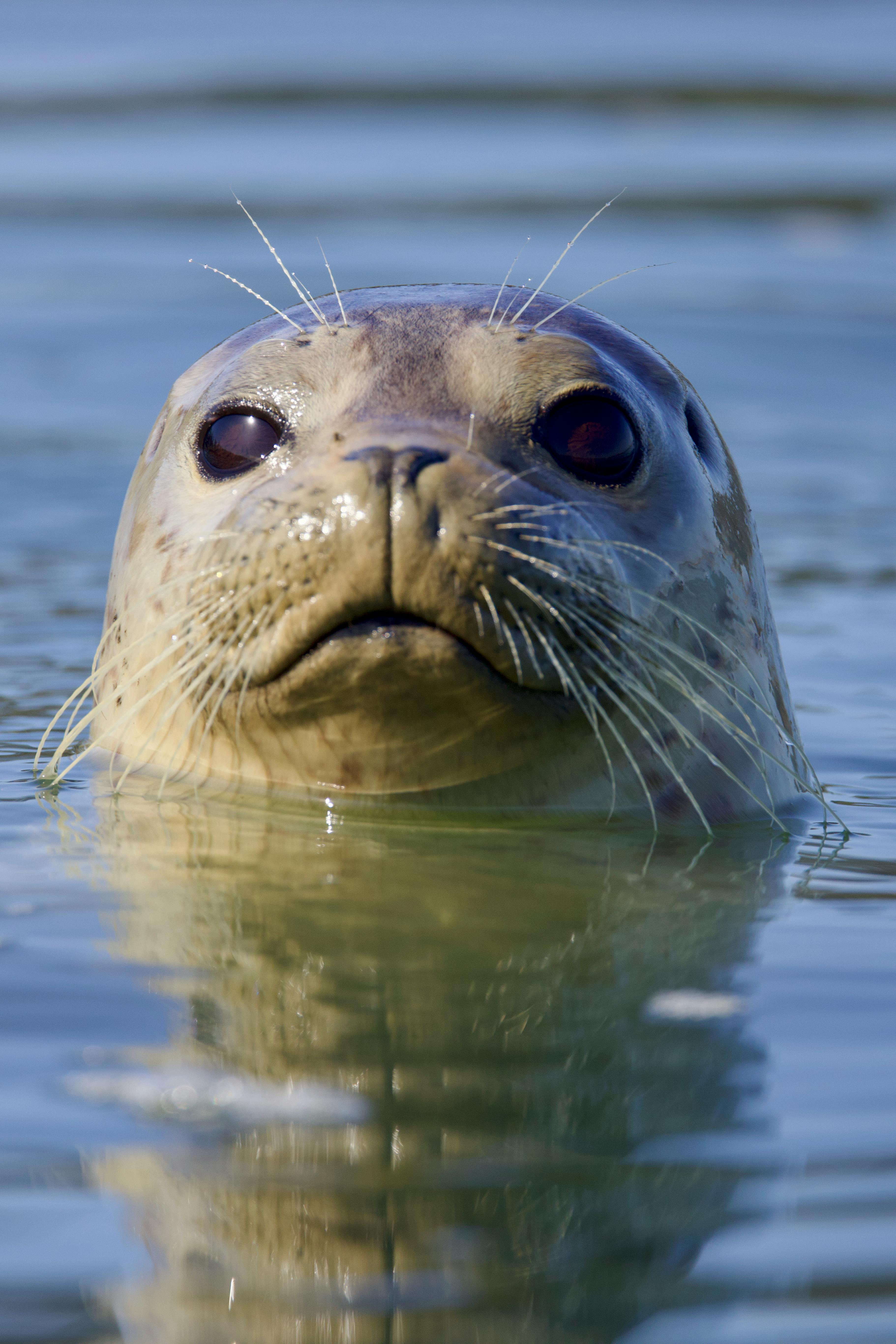 Sloughed Photos, Download The BEST Free Sloughed Stock Photos & HD Images