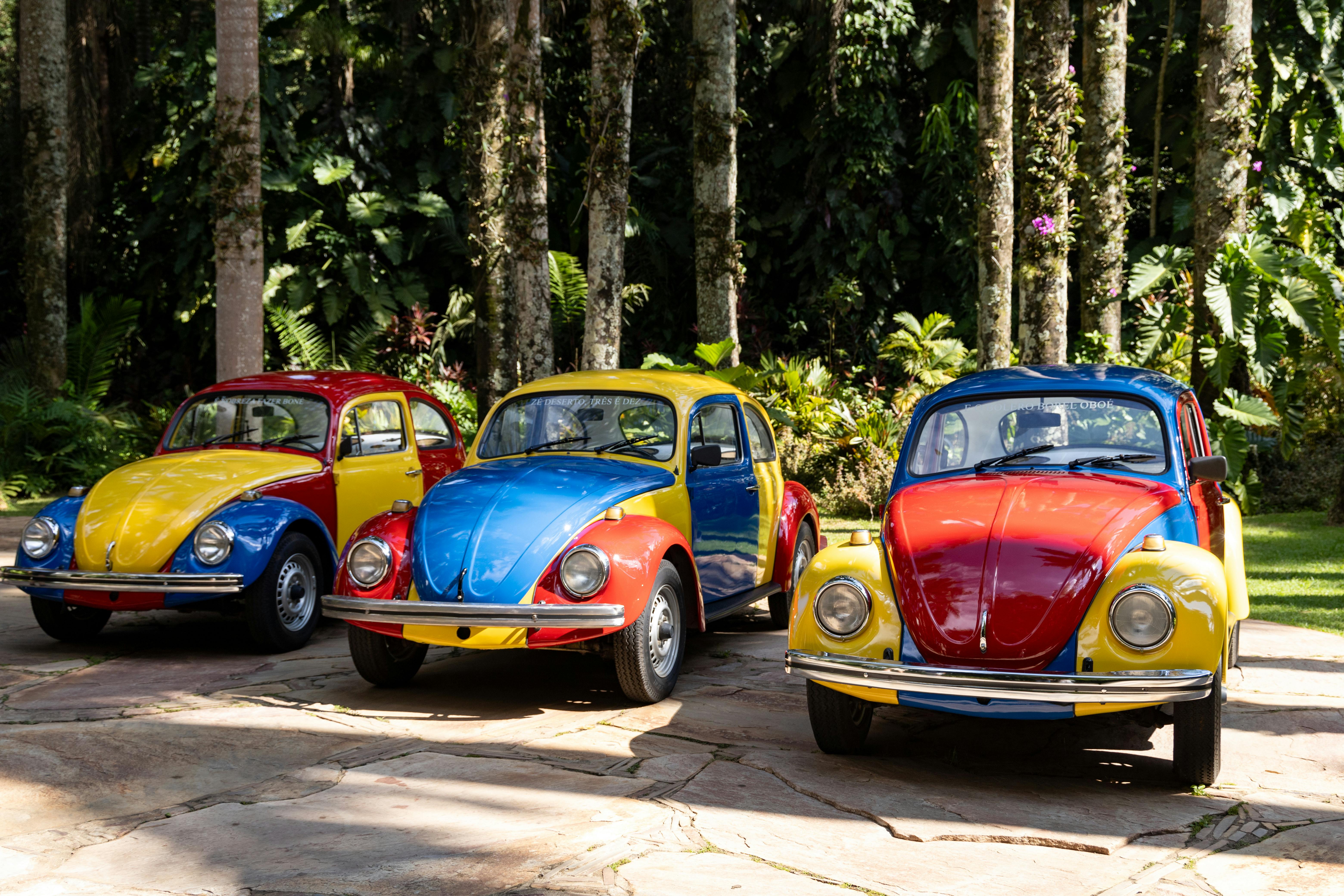 A row of colorful volkswagen beetles parked in front of a tree · Free ...