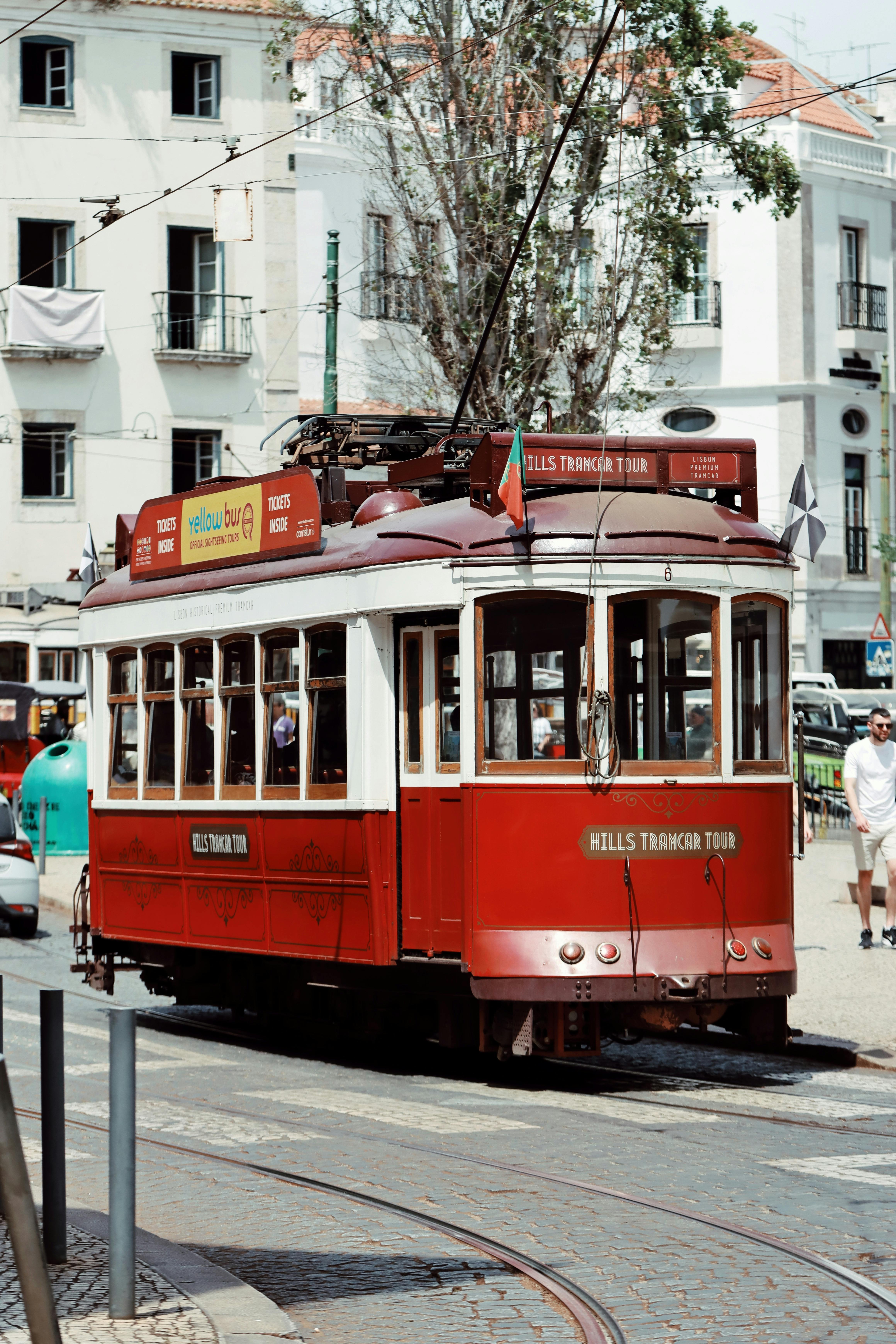 Tram · Free Stock Photo