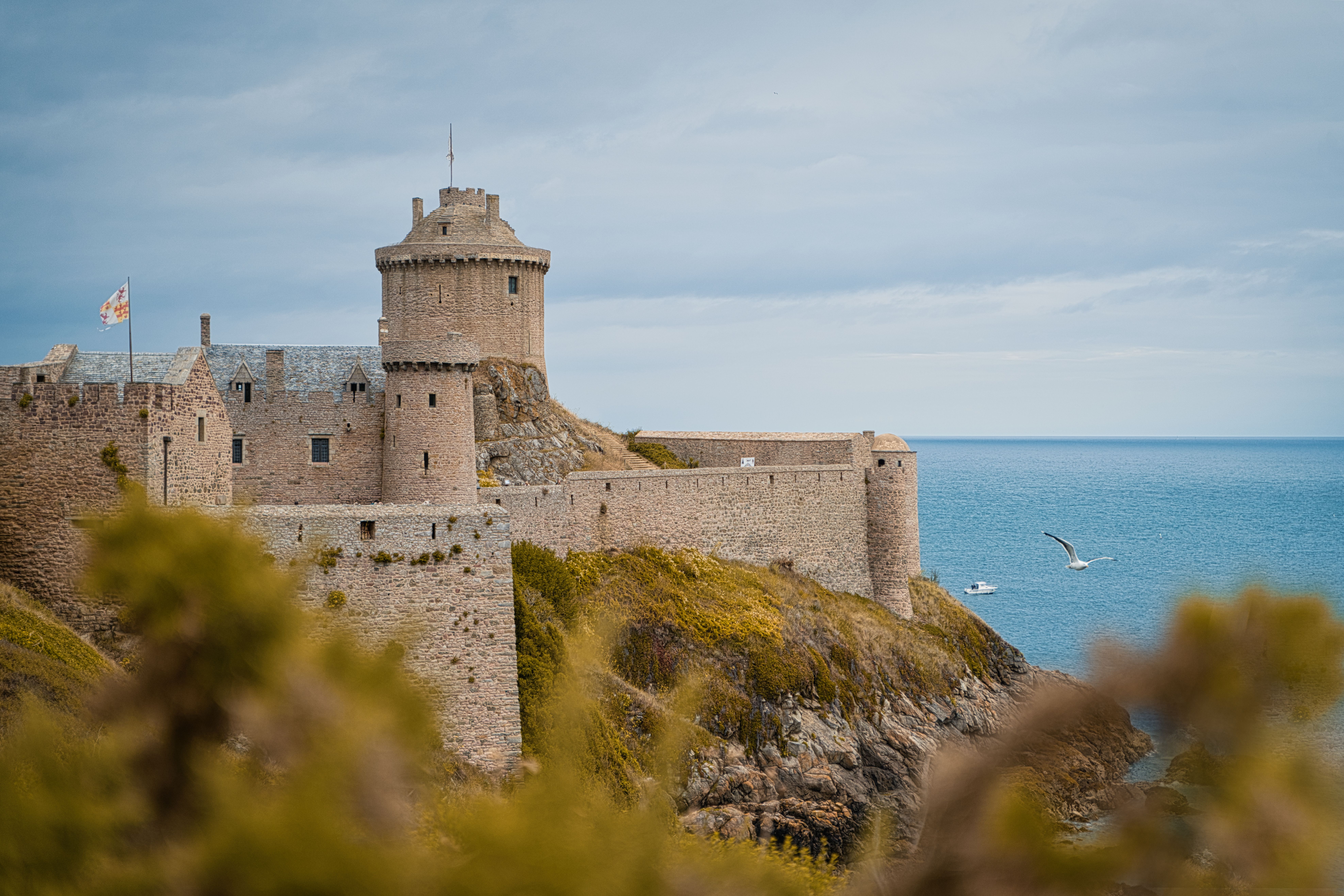 castle on a cliff · Free Stock Photo