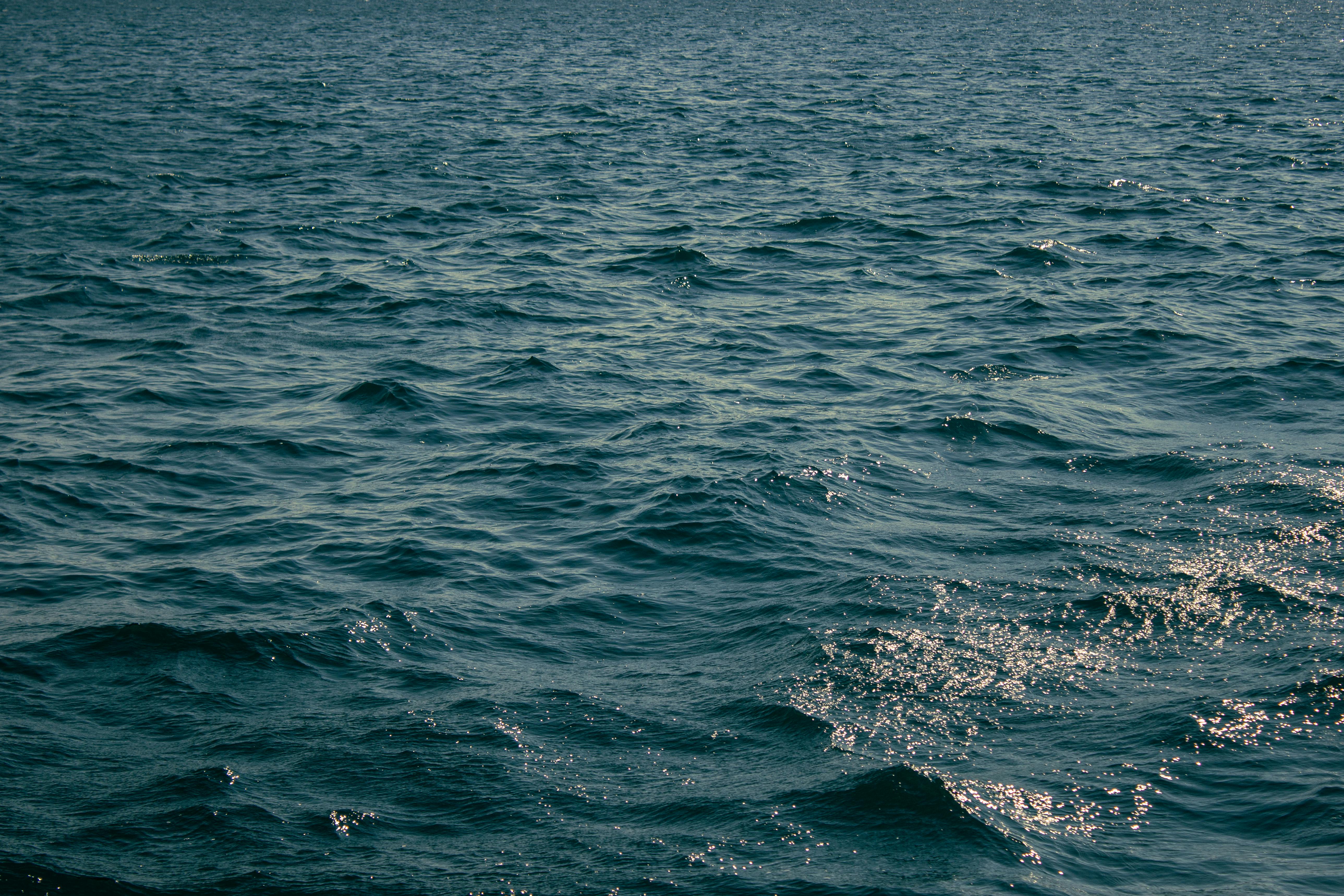 Bird's Eye View of Sea Water · Free Stock Photo