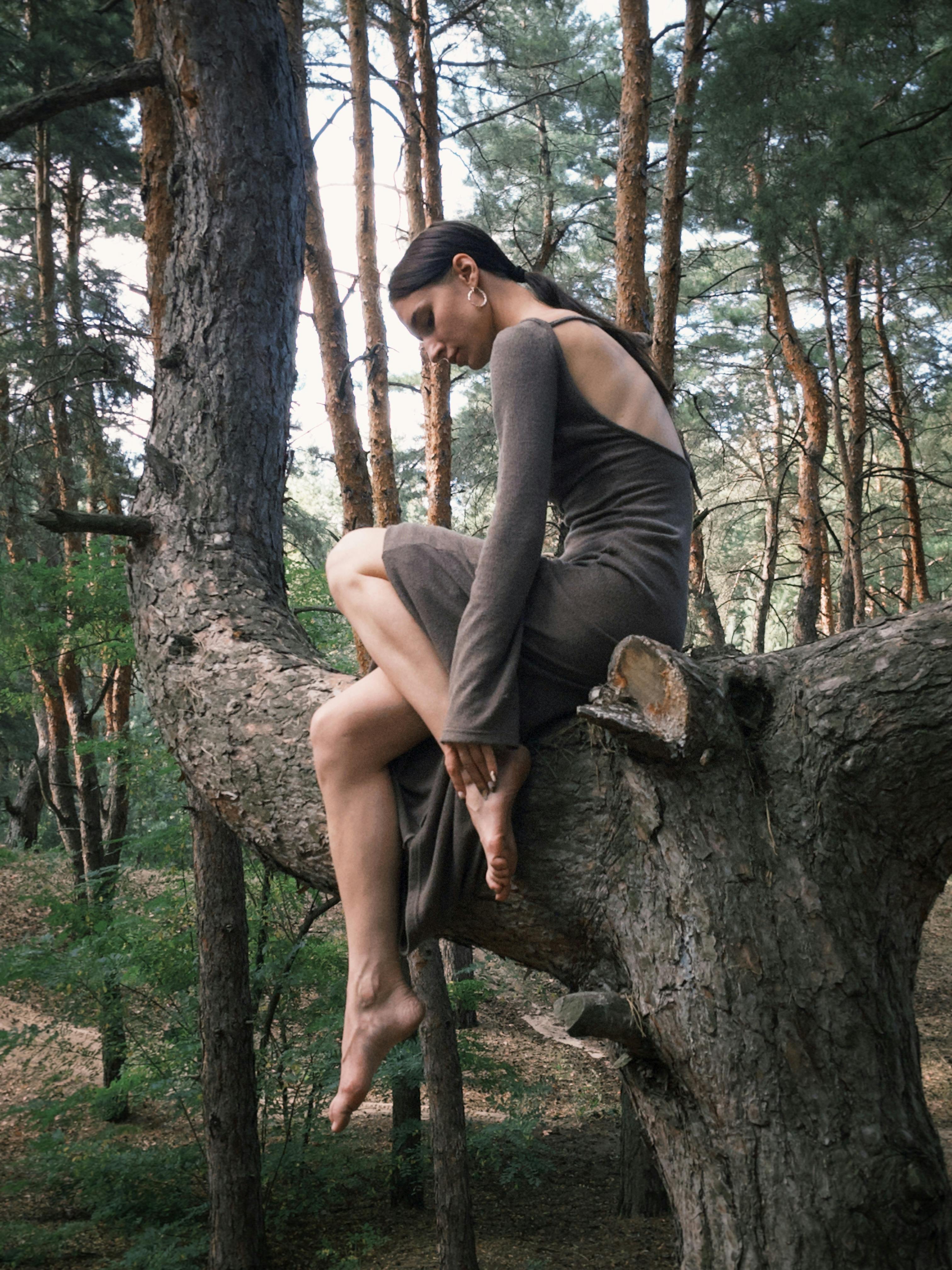 Foto de stock gratuita sobre adulto, al aire libre, árbol, árboles ...