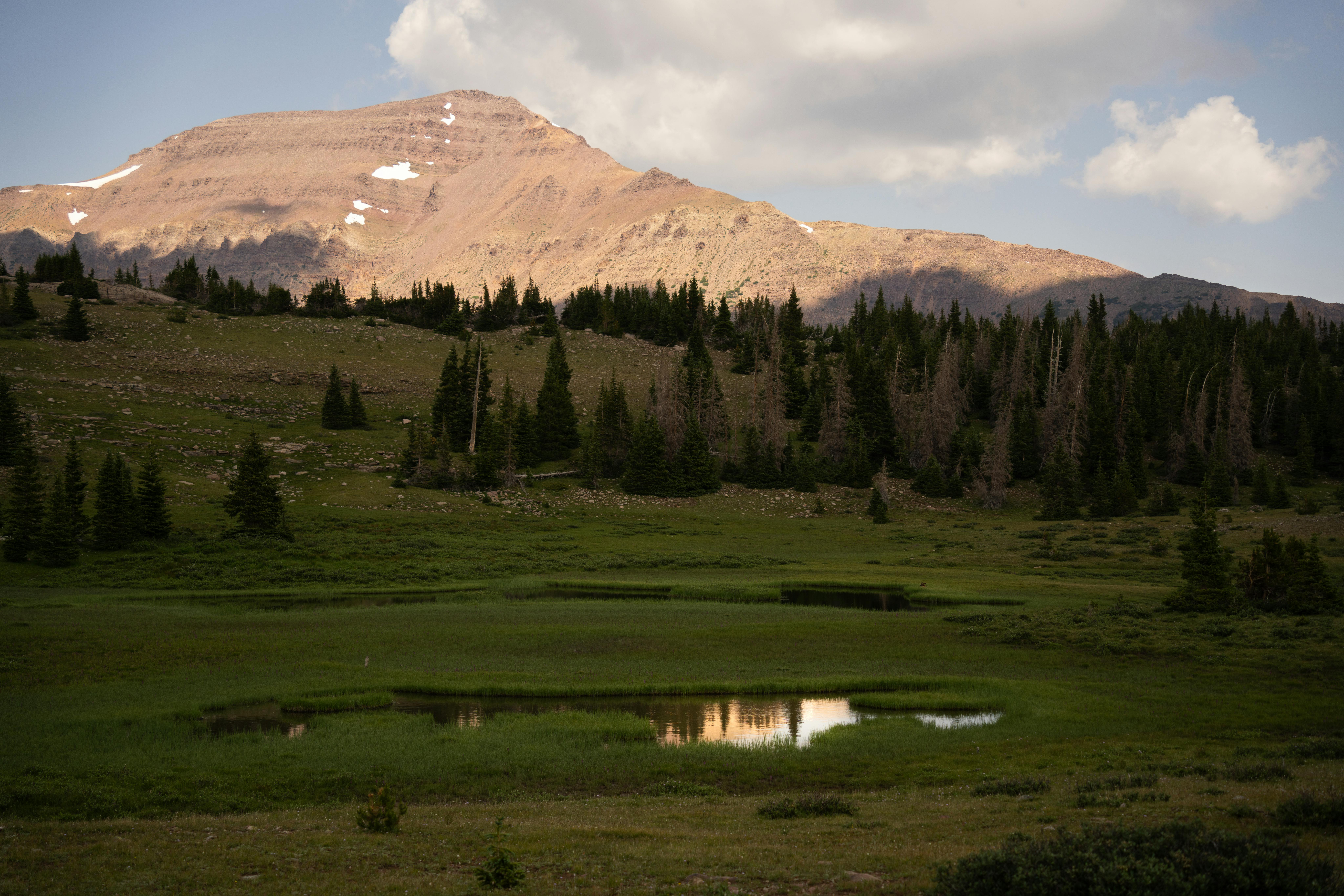 Sumer Photos, Download The BEST Free Sumer Stock Photos & HD Images