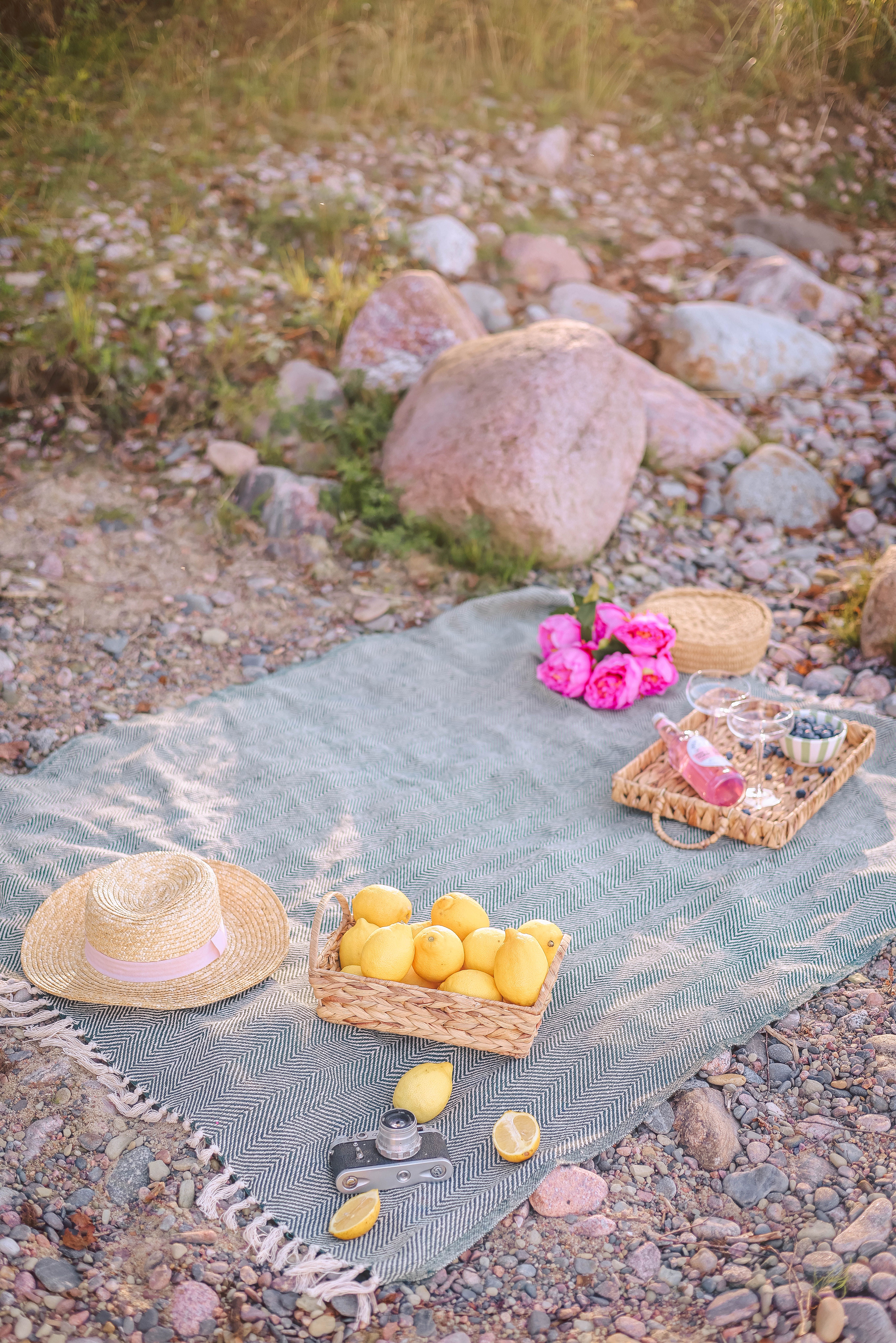 Flowers, Hat, Fruit and Camera at Picnic · Free Stock Photo