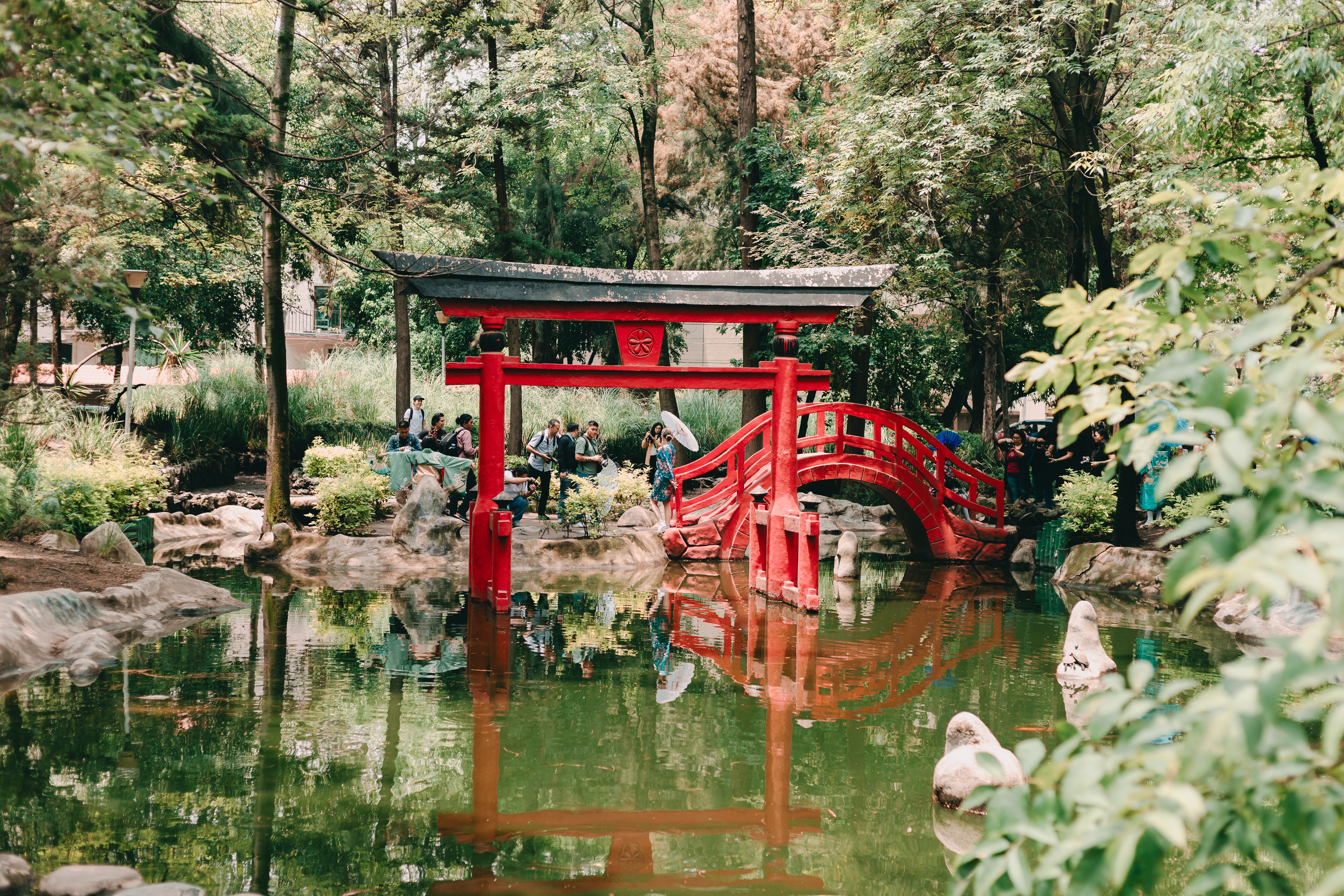 A red tori gate in a japanese garden · Free Stock Photo