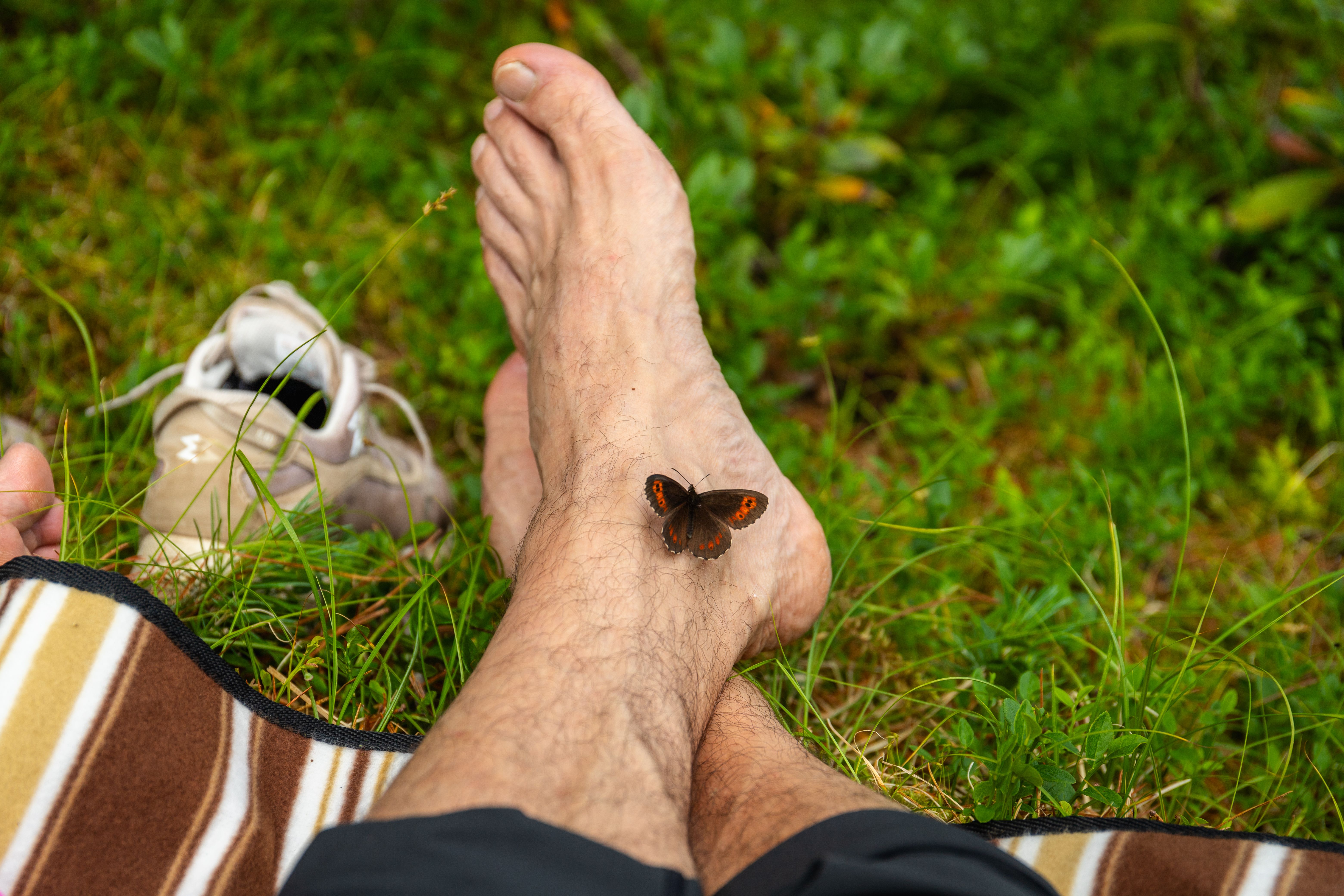 A person's feet with a butterfly on them · Free Stock Photo