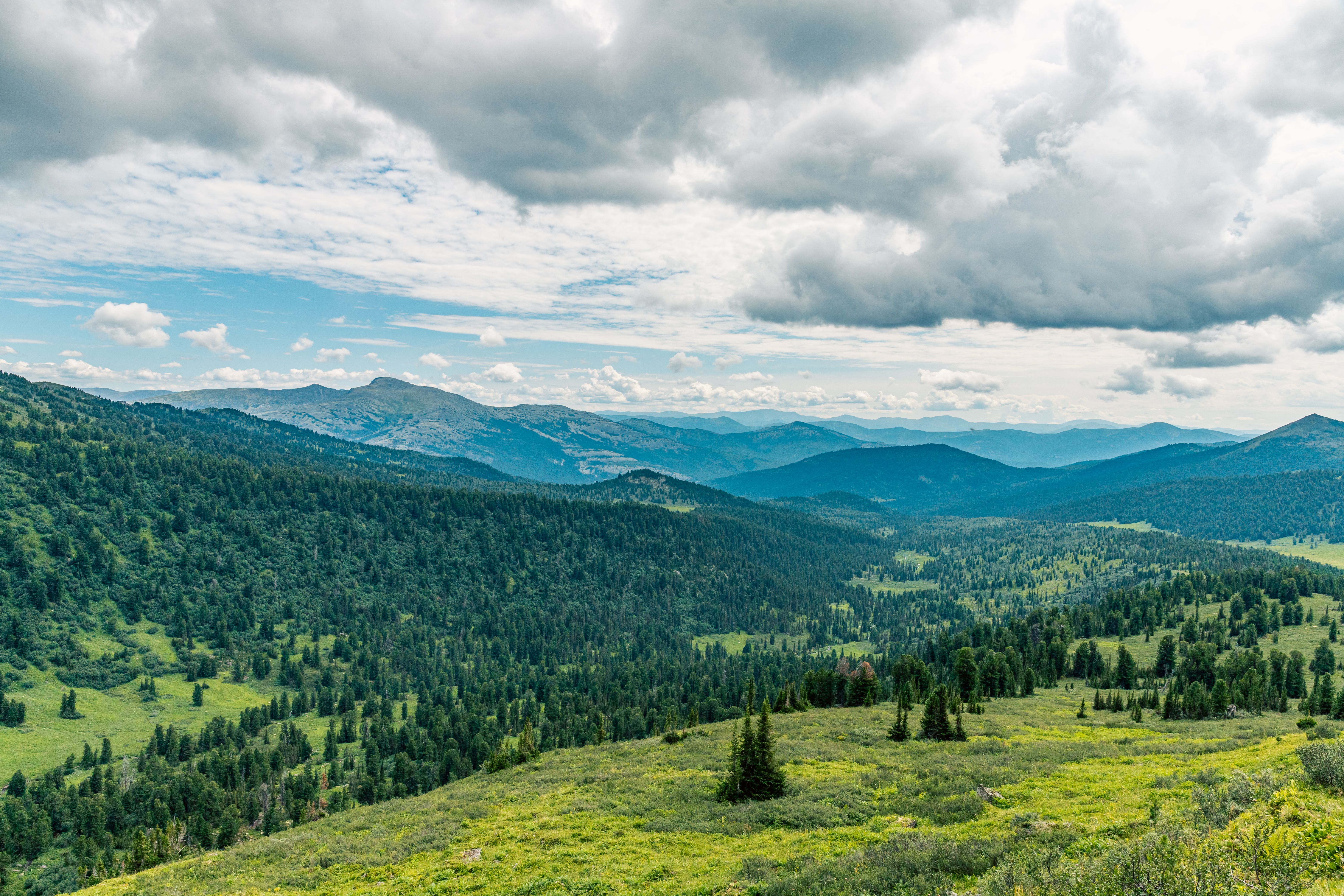 A scenic view of a valley with green grass and trees · Free Stock Photo