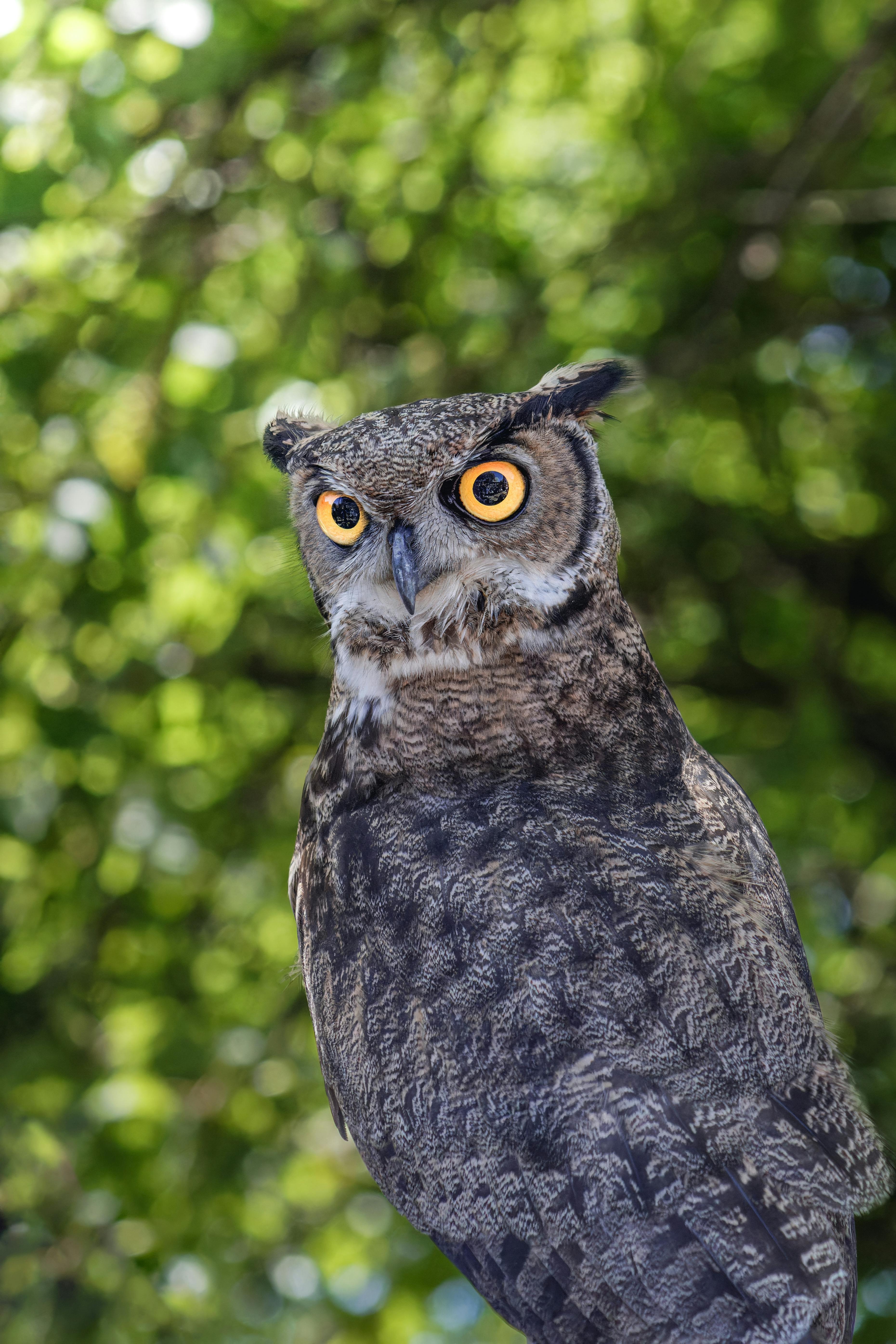 Foto de stock gratuita sobre @al aire libre, amante de la naturaleza ...