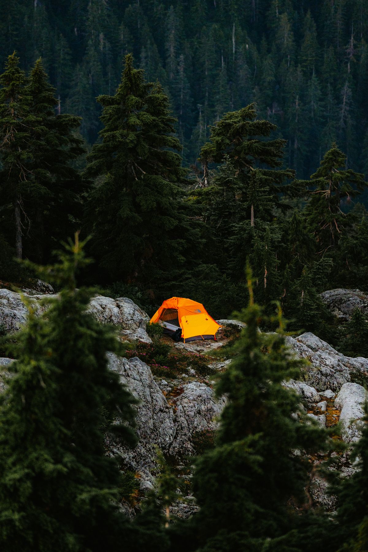 Tent Images Photos, Download The BEST Free Tent Images Stock Photos ...