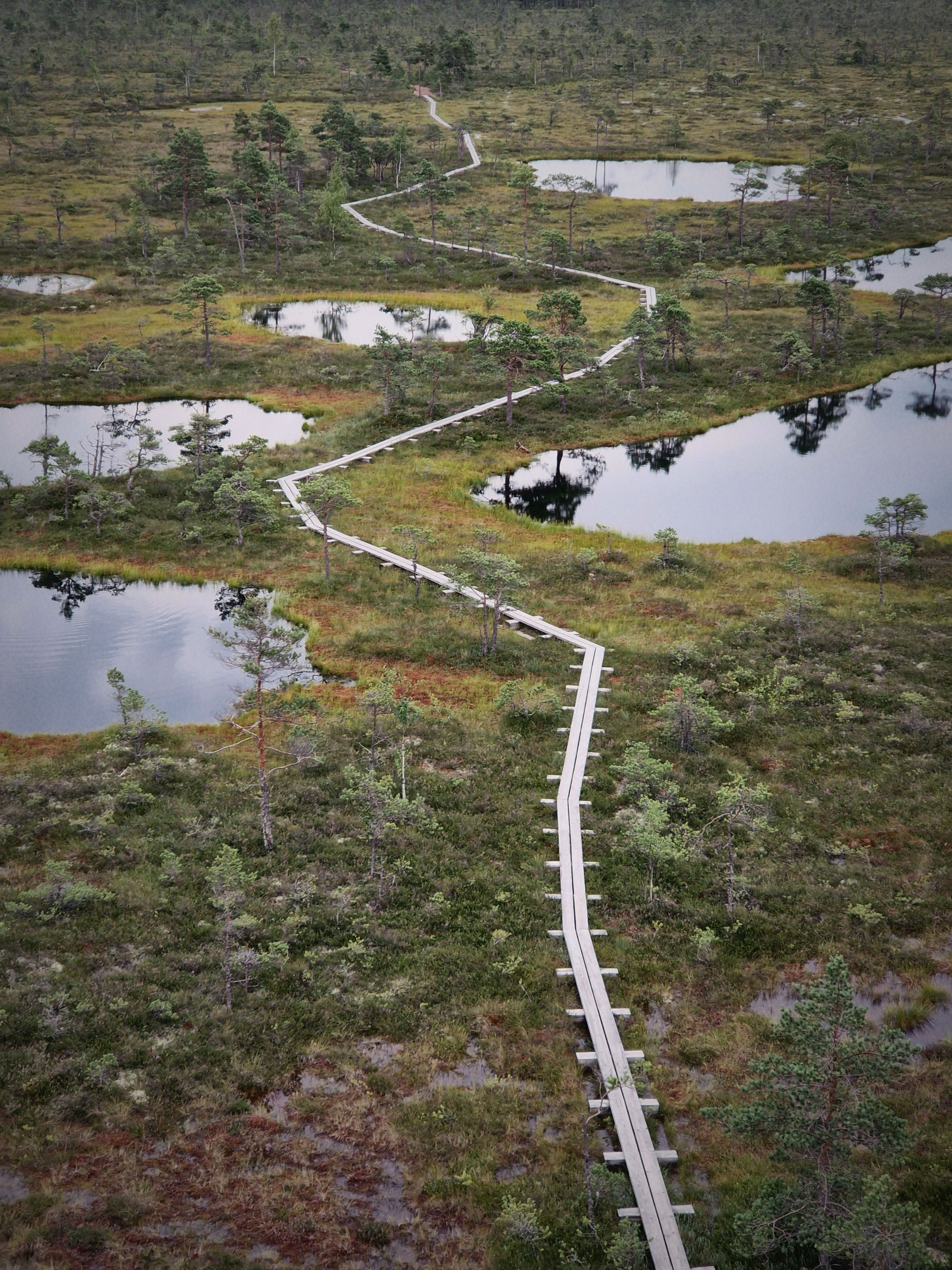 A long wooden walkway in the middle of a marsh · Free Stock Photo