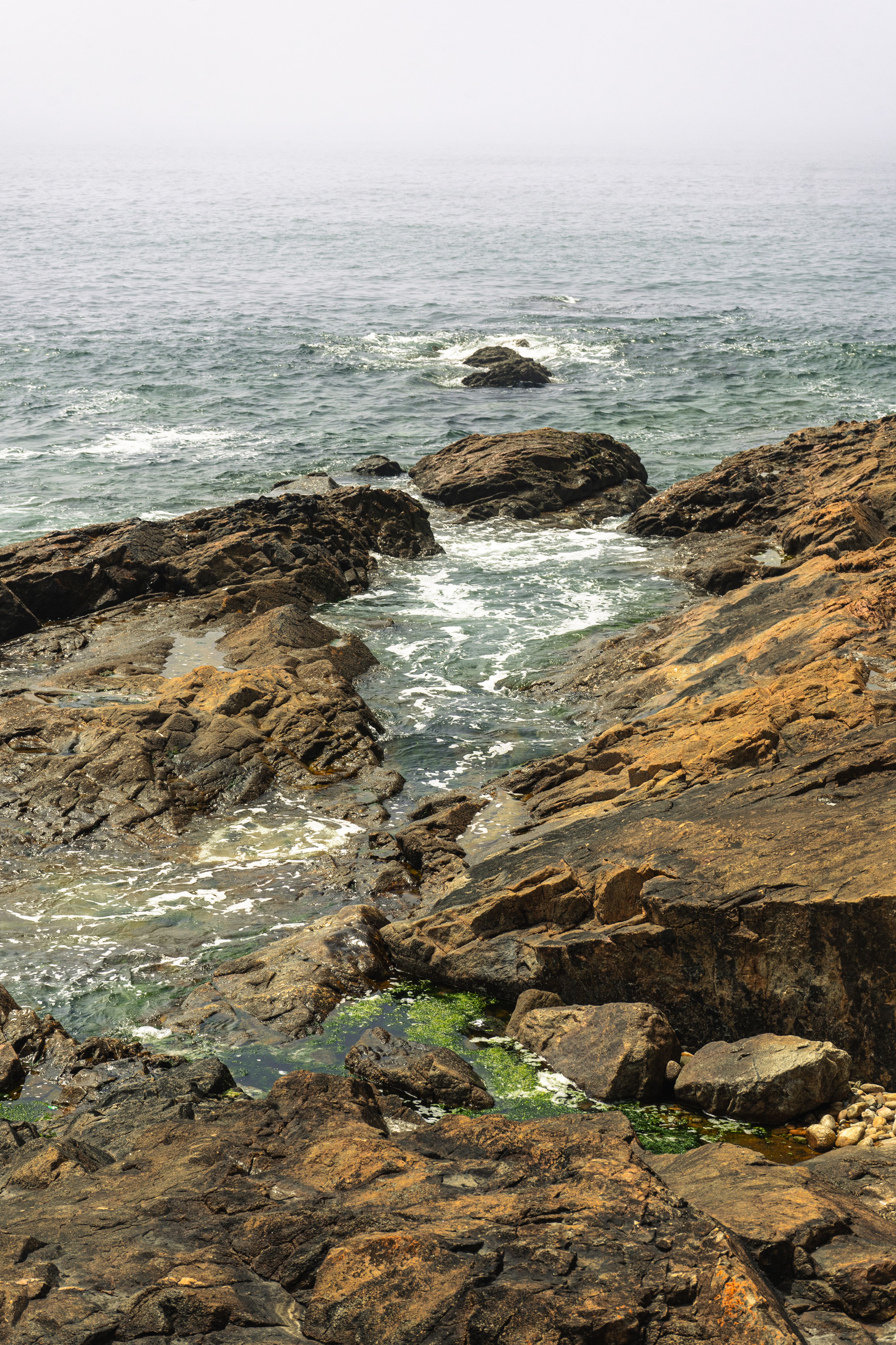 A rocky shoreline with green water and rocks · Free Stock Photo