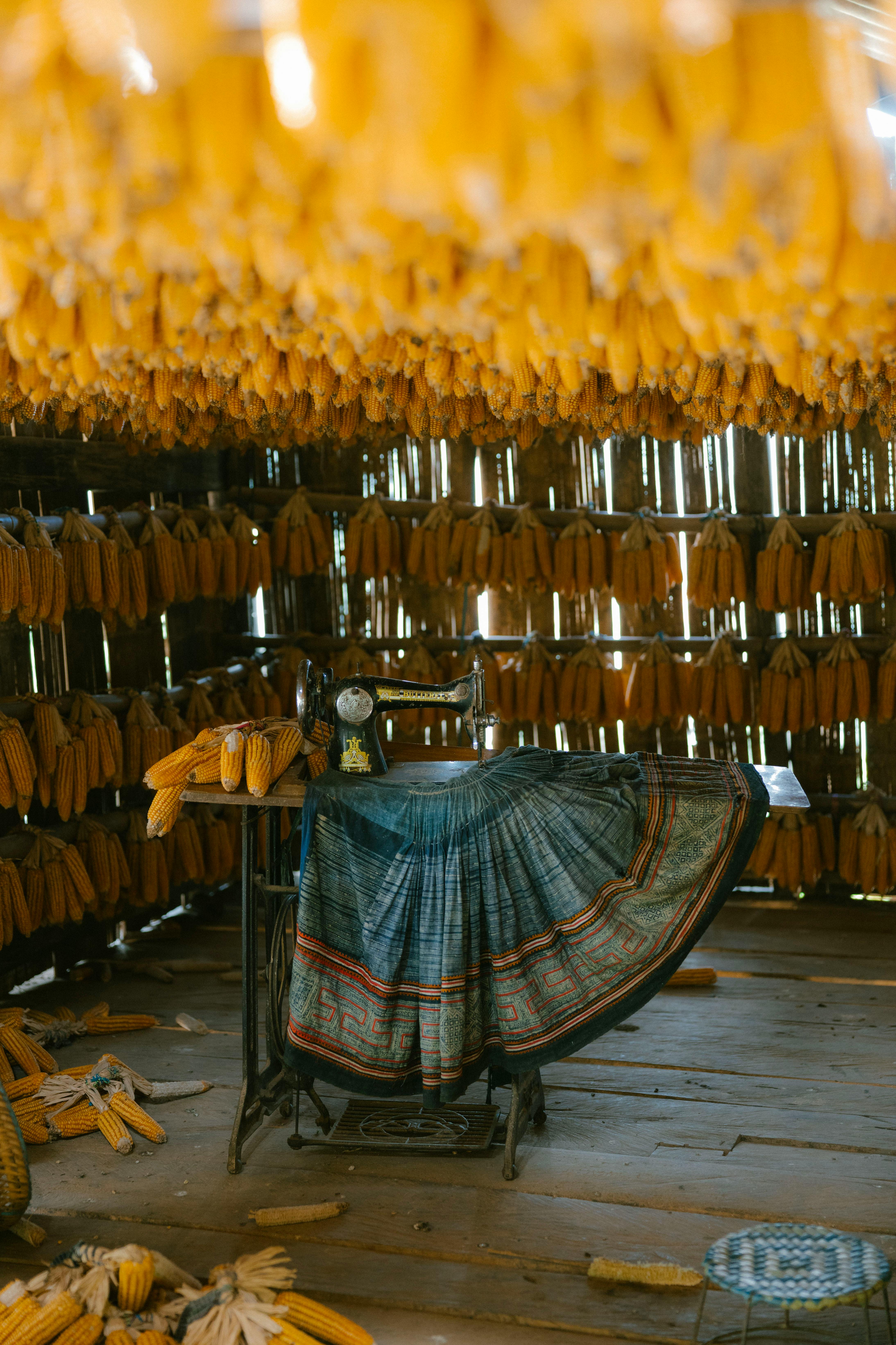 Corn Drying Method Photos, Download The BEST Free Corn Drying Method ...