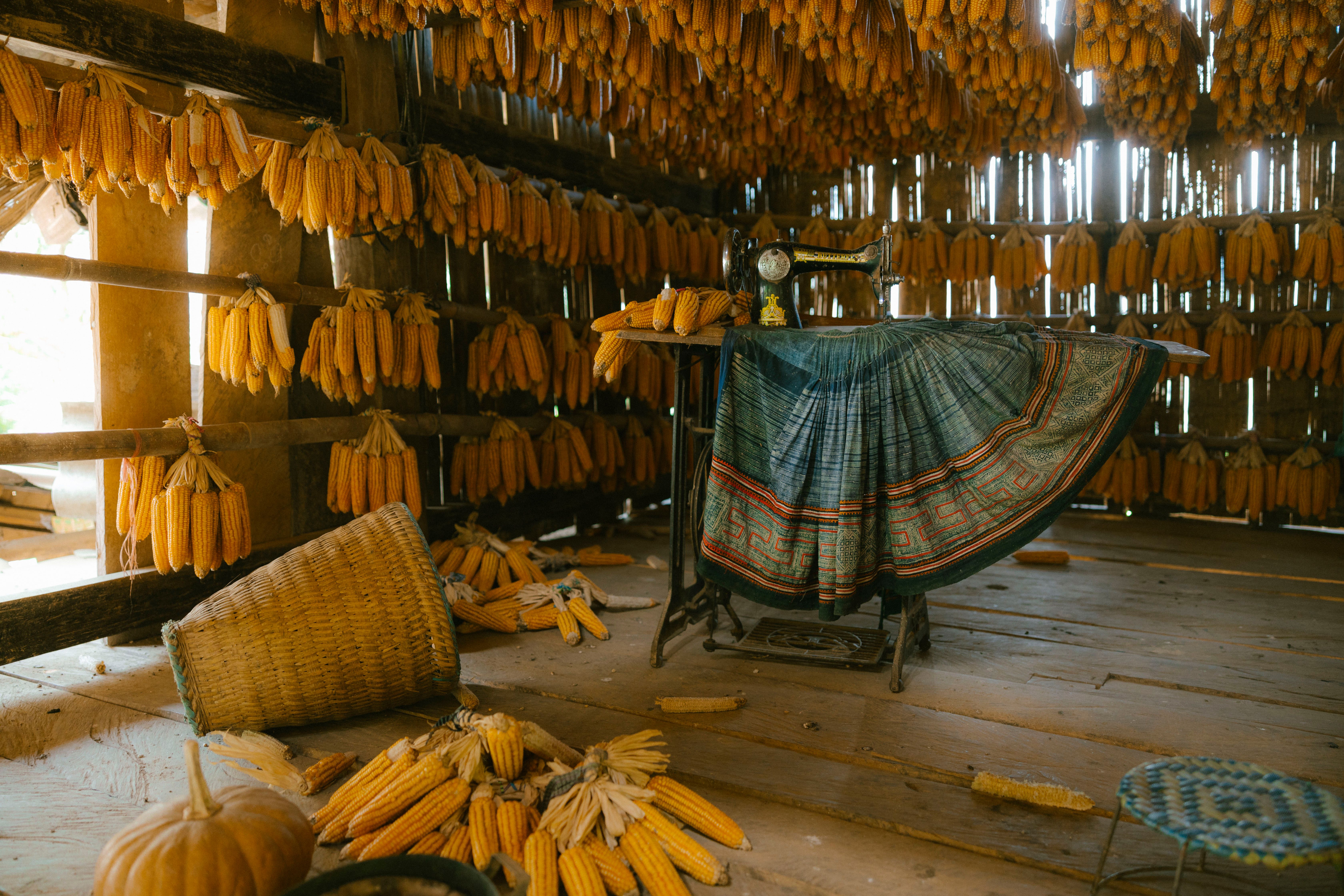 Agricultural Products Photos, Download The BEST Free Agricultural ...