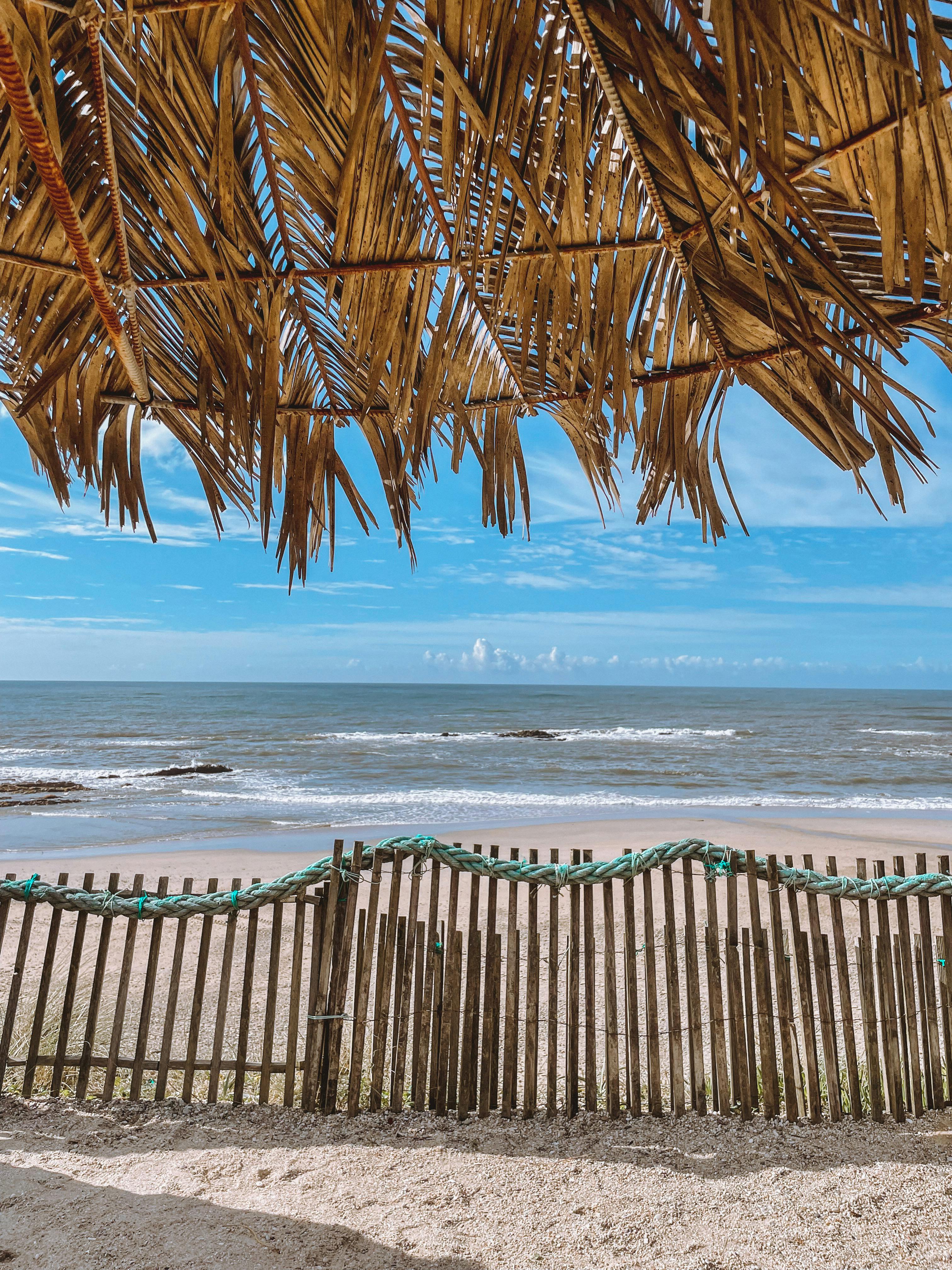 Beach · Free Stock Photo
