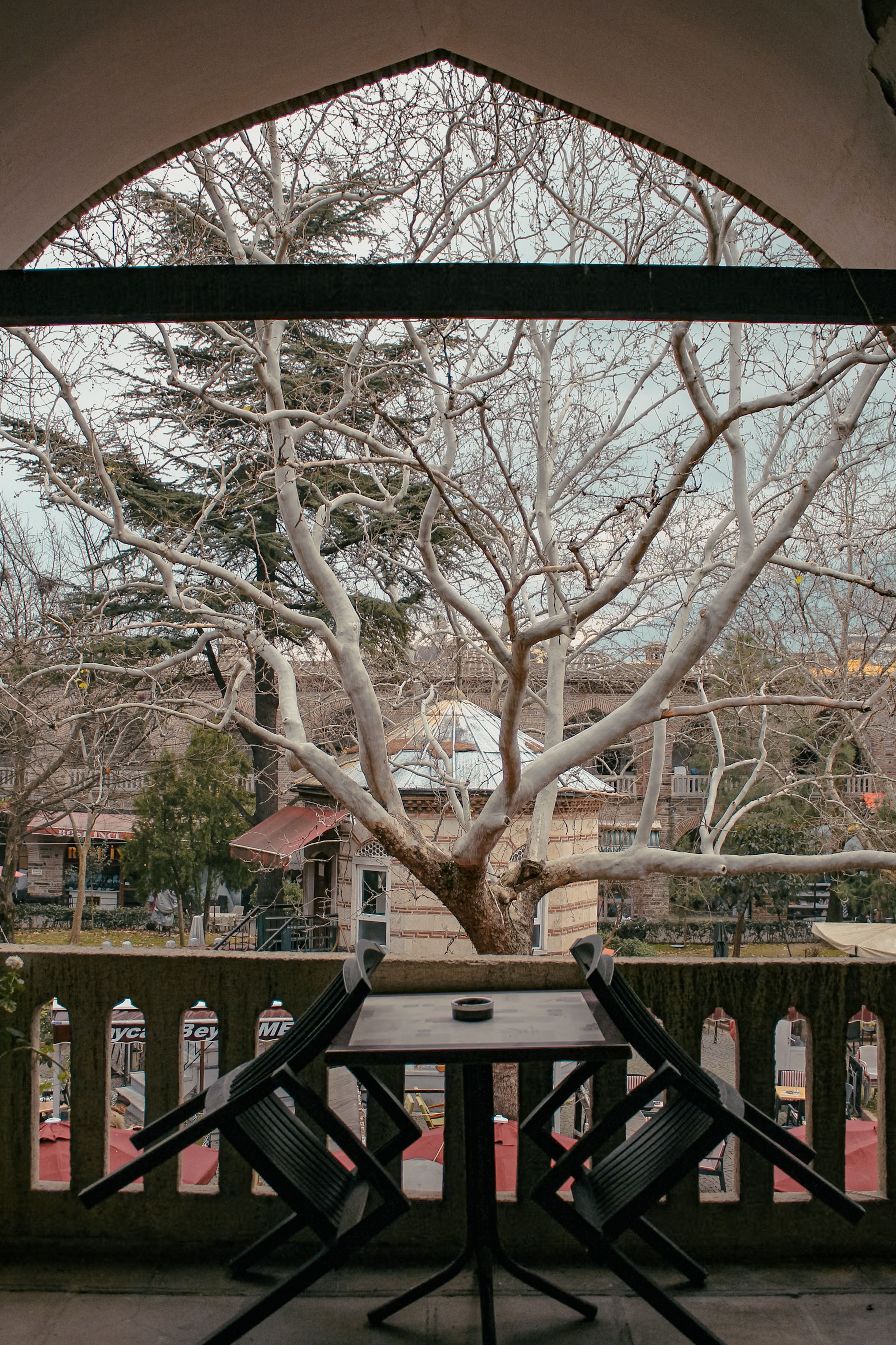 A view of a tree from a balcony · Free Stock Photo