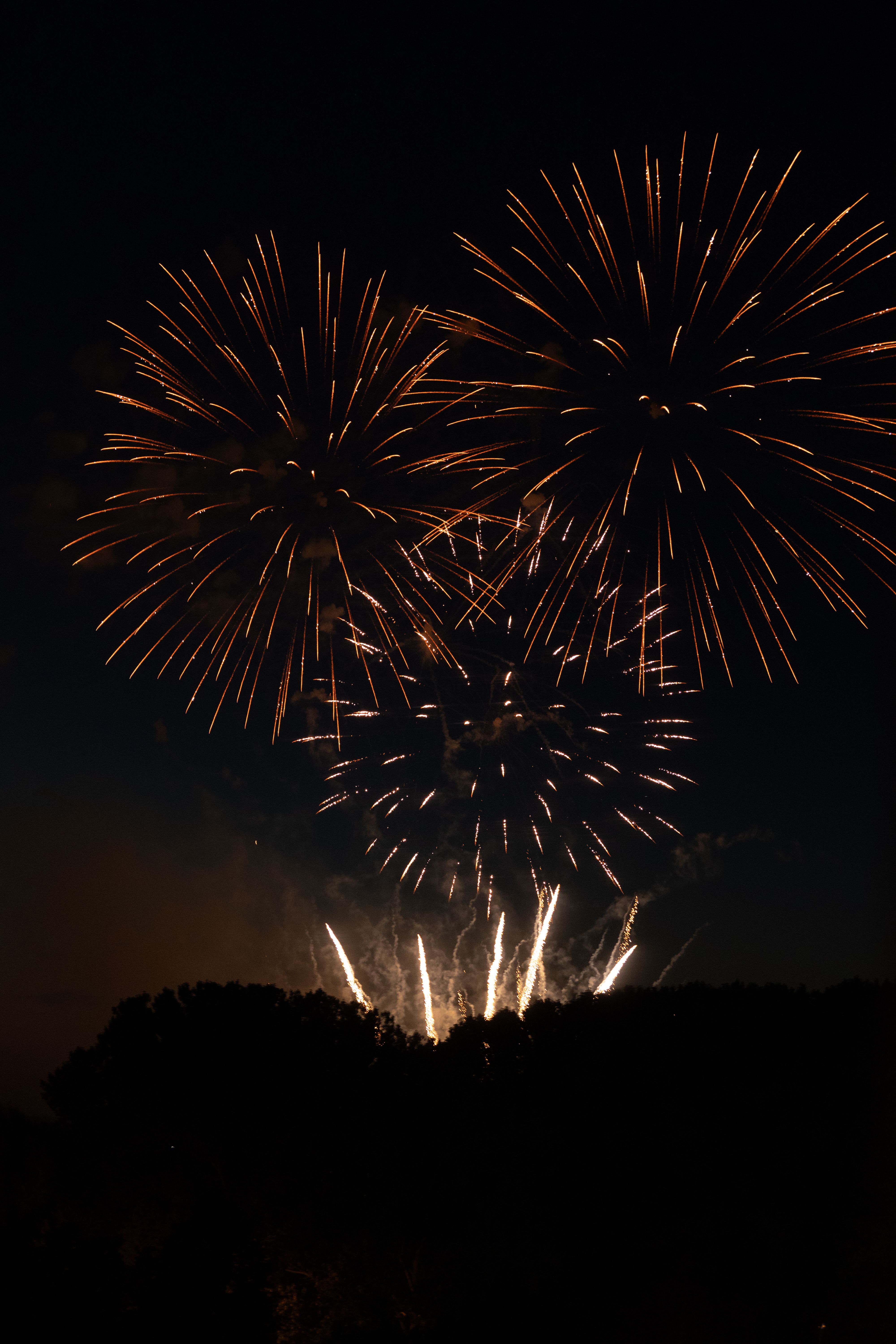 Fireworks Display during Nighttime · Free Stock Photo