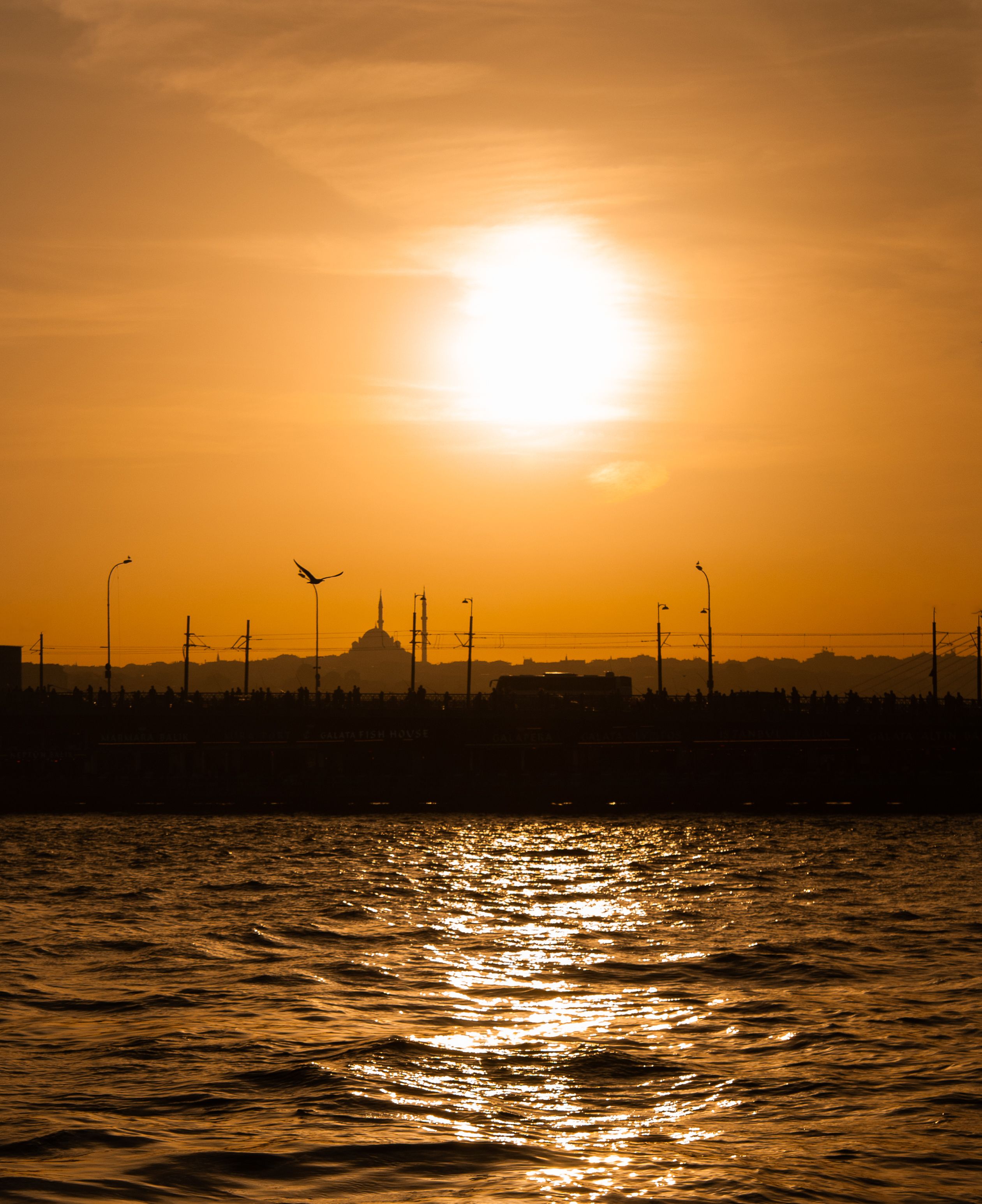 Photo of Seattle Skyline During Golden Hour · Free Stock Photo
