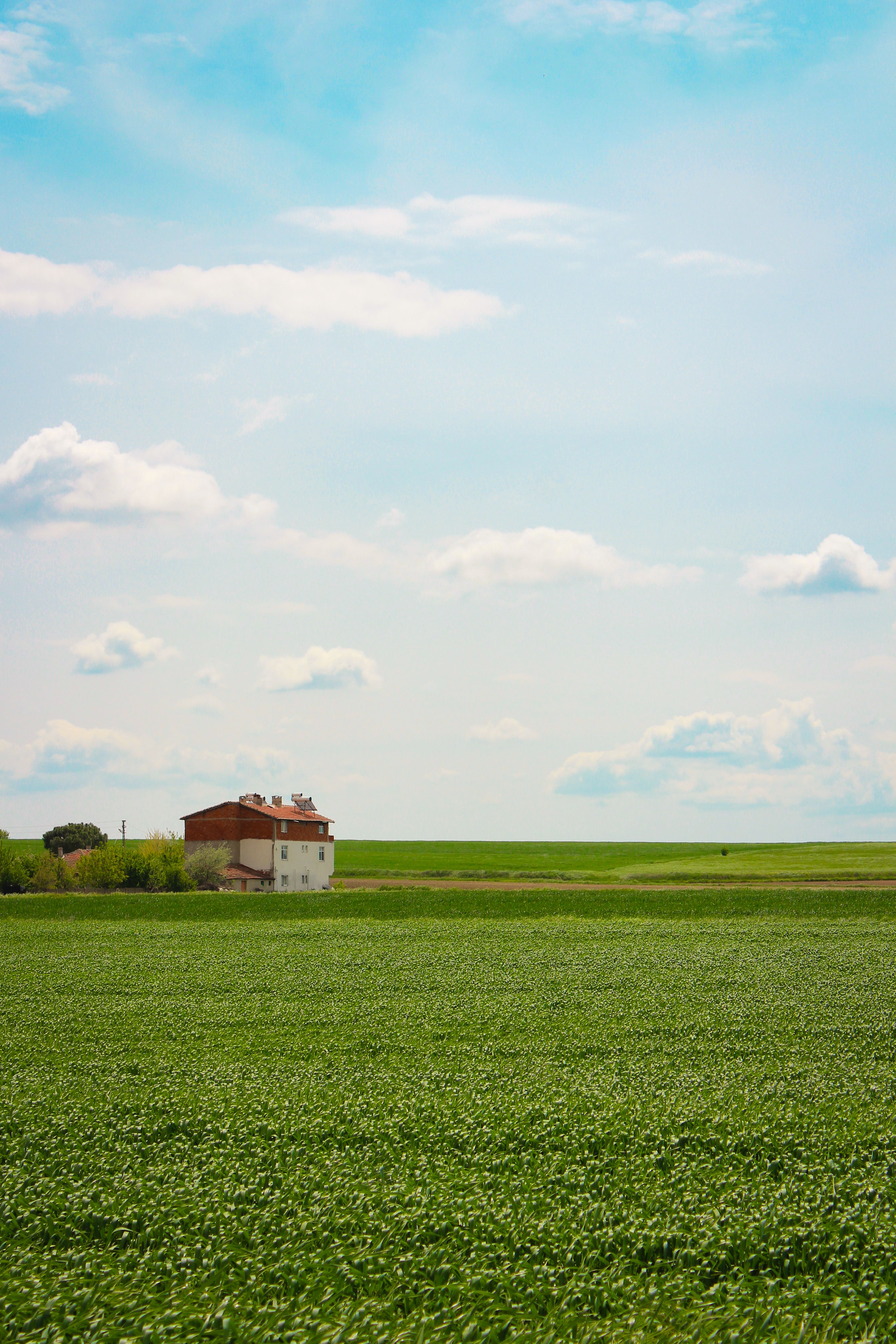 Wheat Farm House Photos, Download The BEST Free Wheat Farm House Stock ...