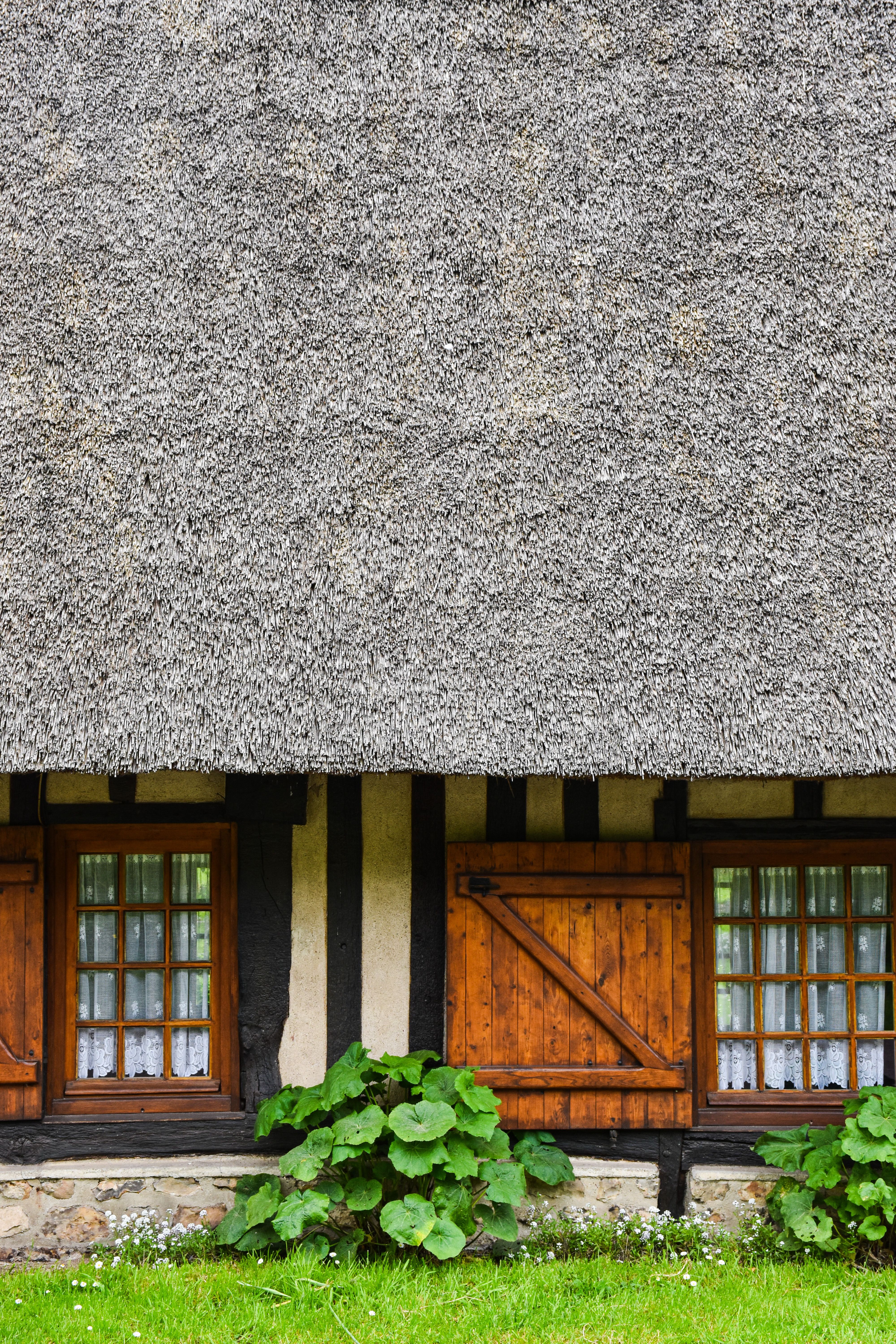A thatched roof with two windows and a door · Free Stock Photo