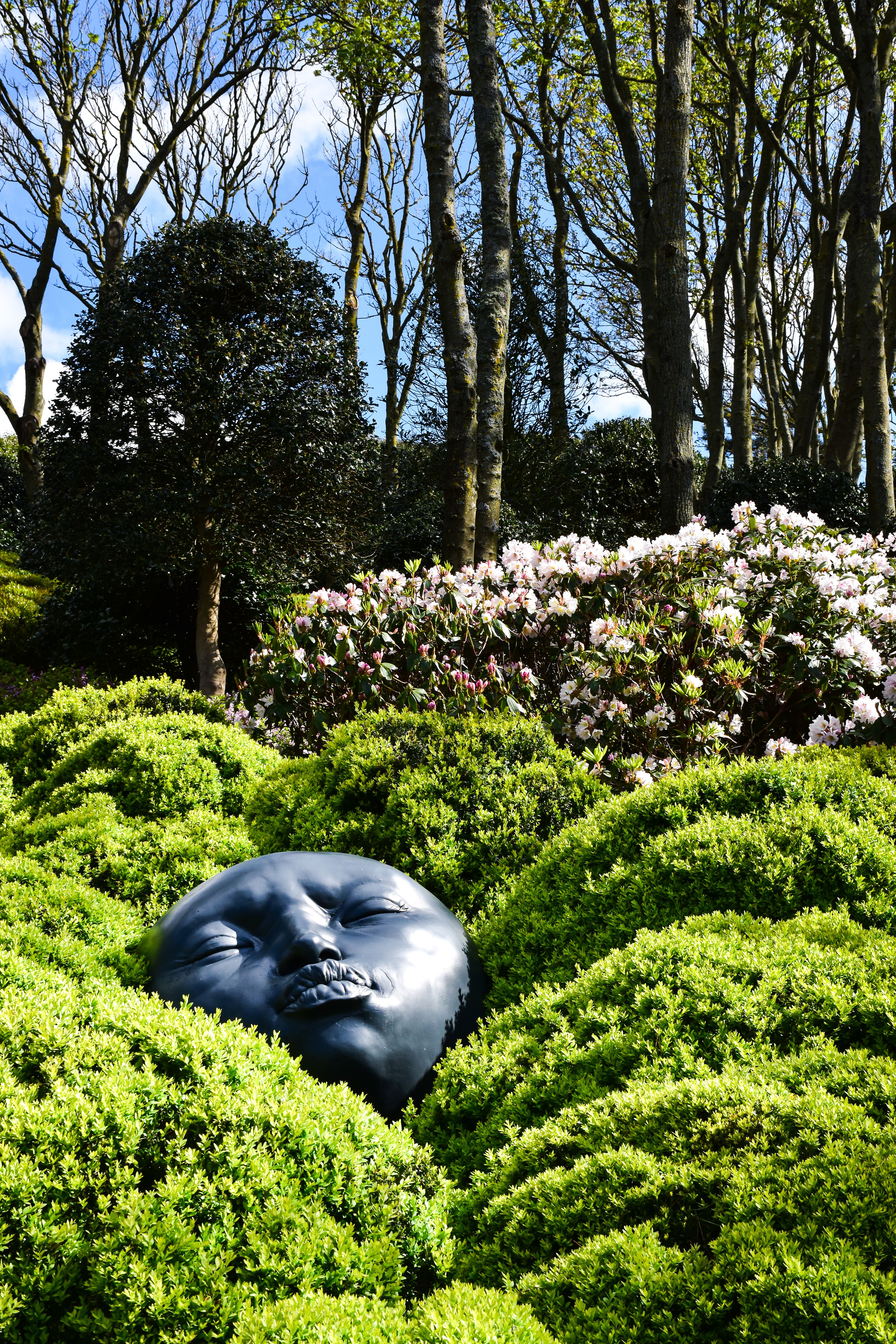 A black sculpture is sitting in the middle of bushes · Free Stock Photo