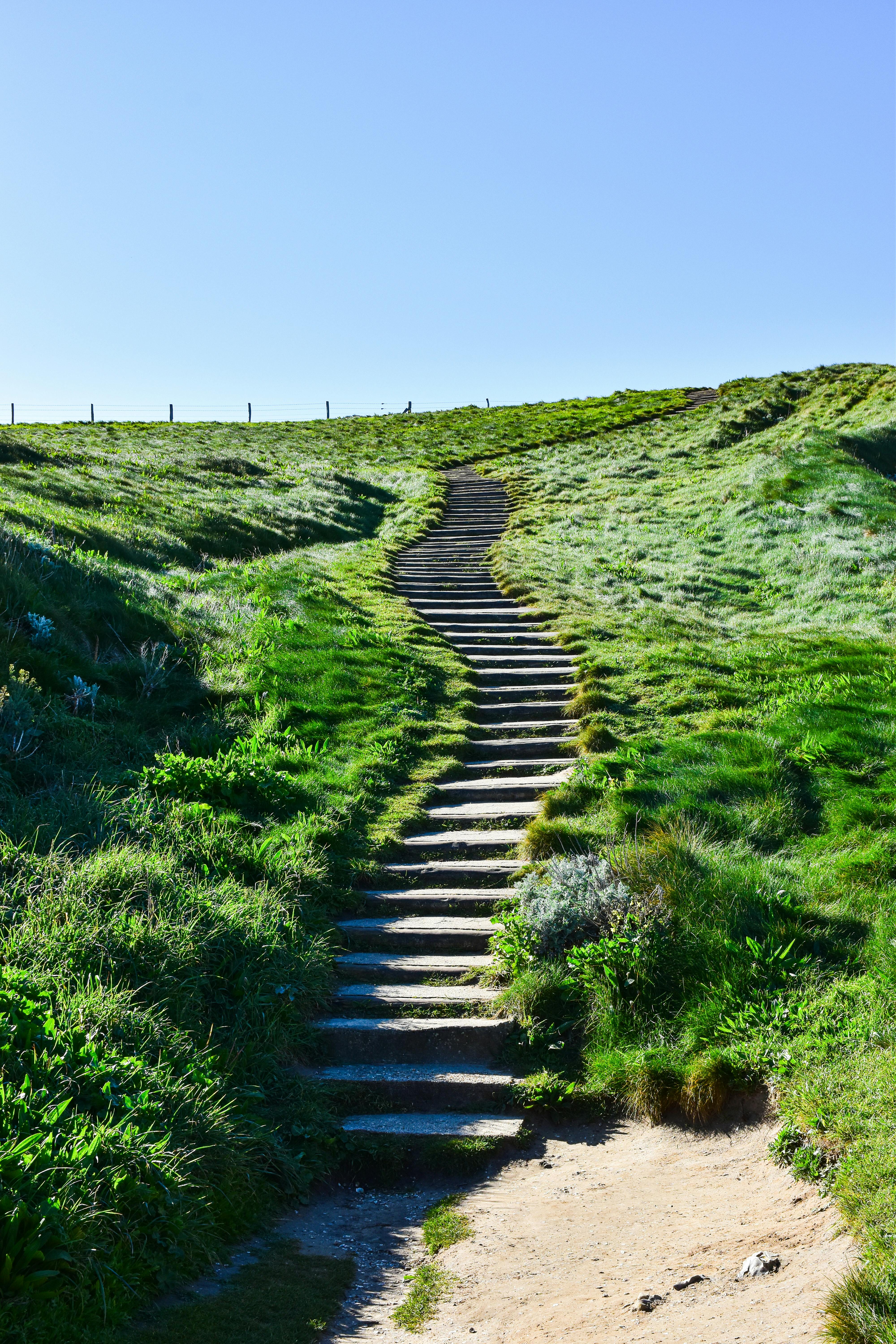 A path leading up to a grassy hill with steps · Free Stock Photo