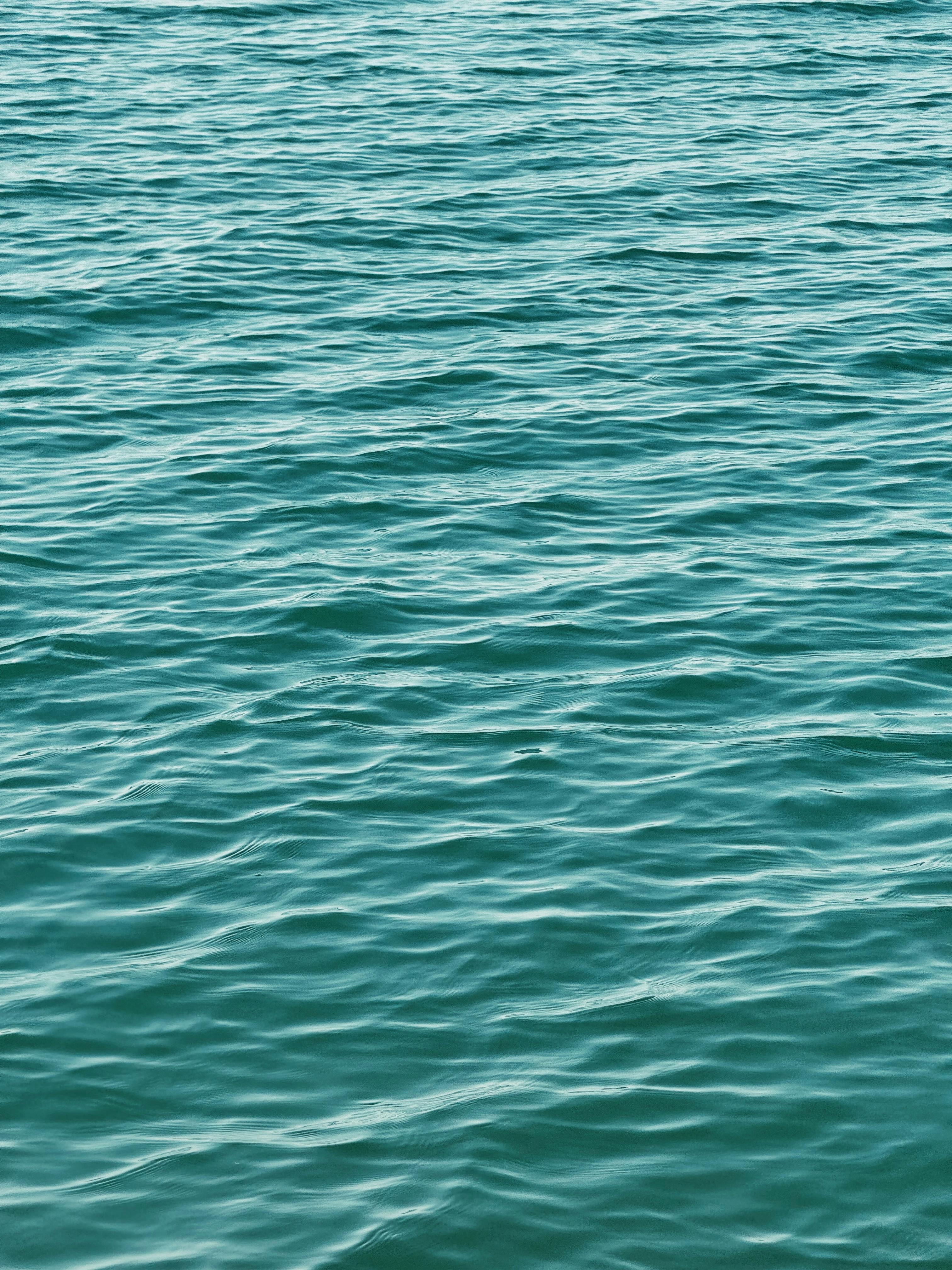 Body of Water · Free Stock Photo