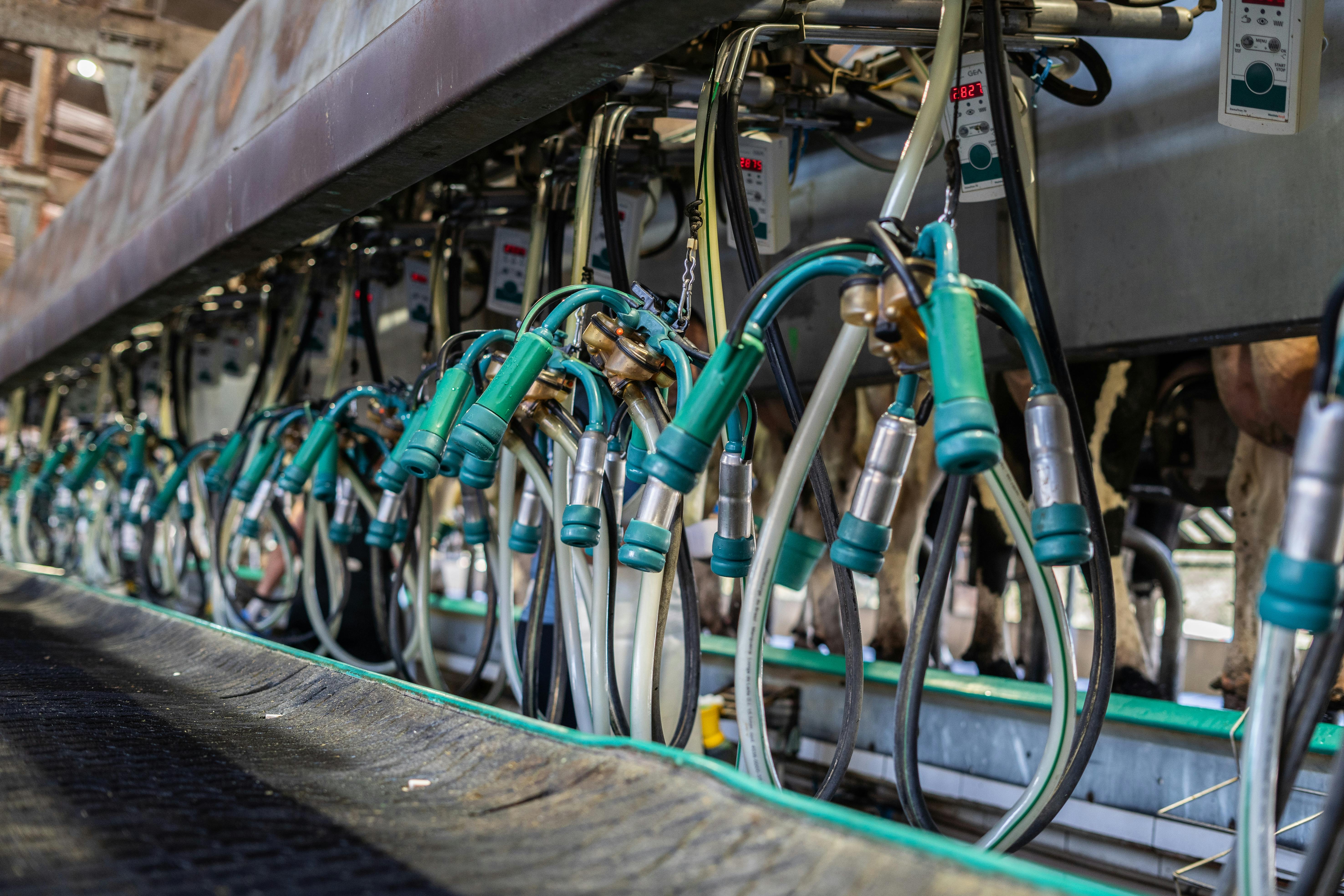 A row of green and blue hoses on a farm · Free Stock Photo