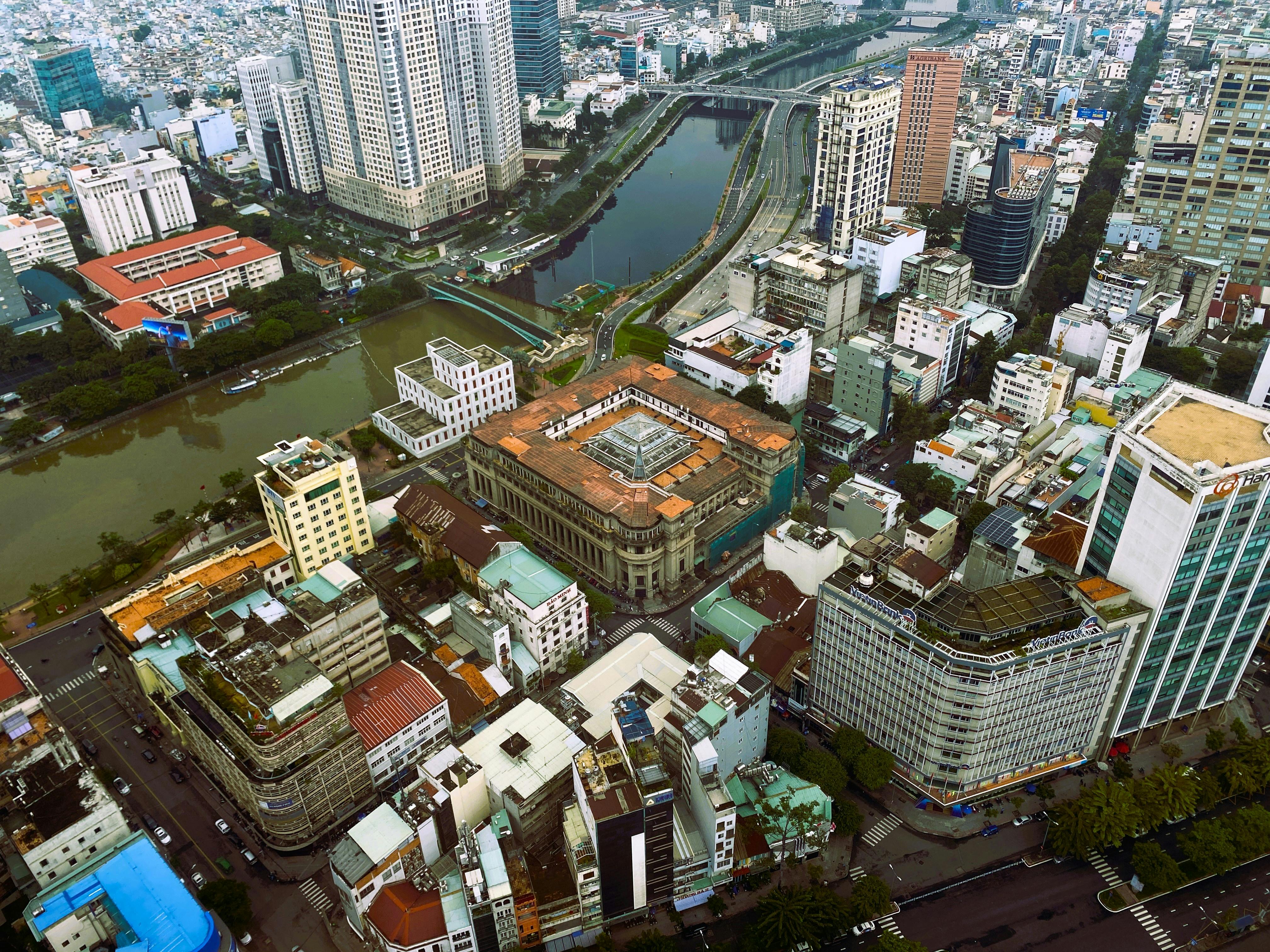 Ambam Gorilla - Photographie