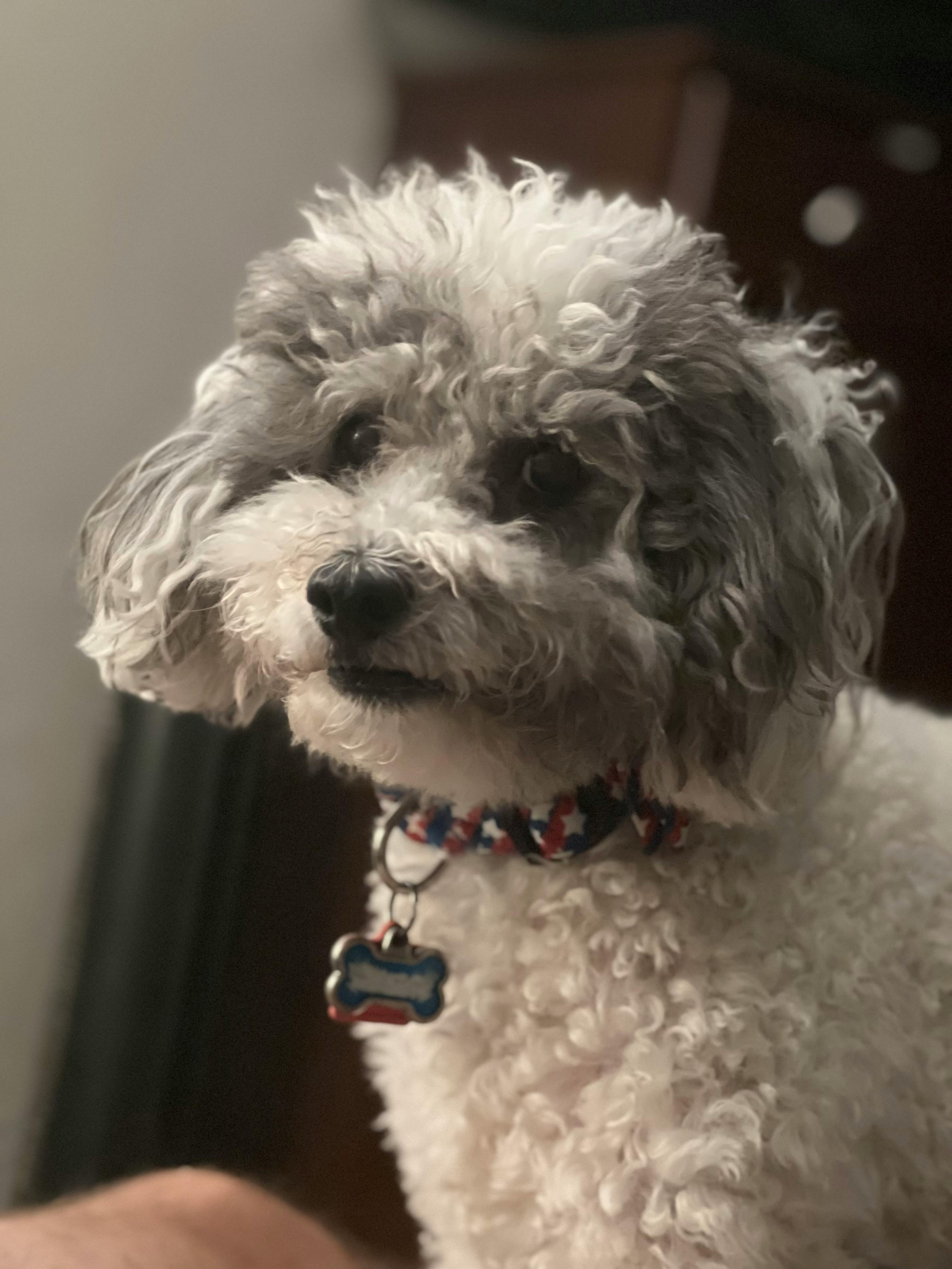 Lesli Whitecotton - Photography