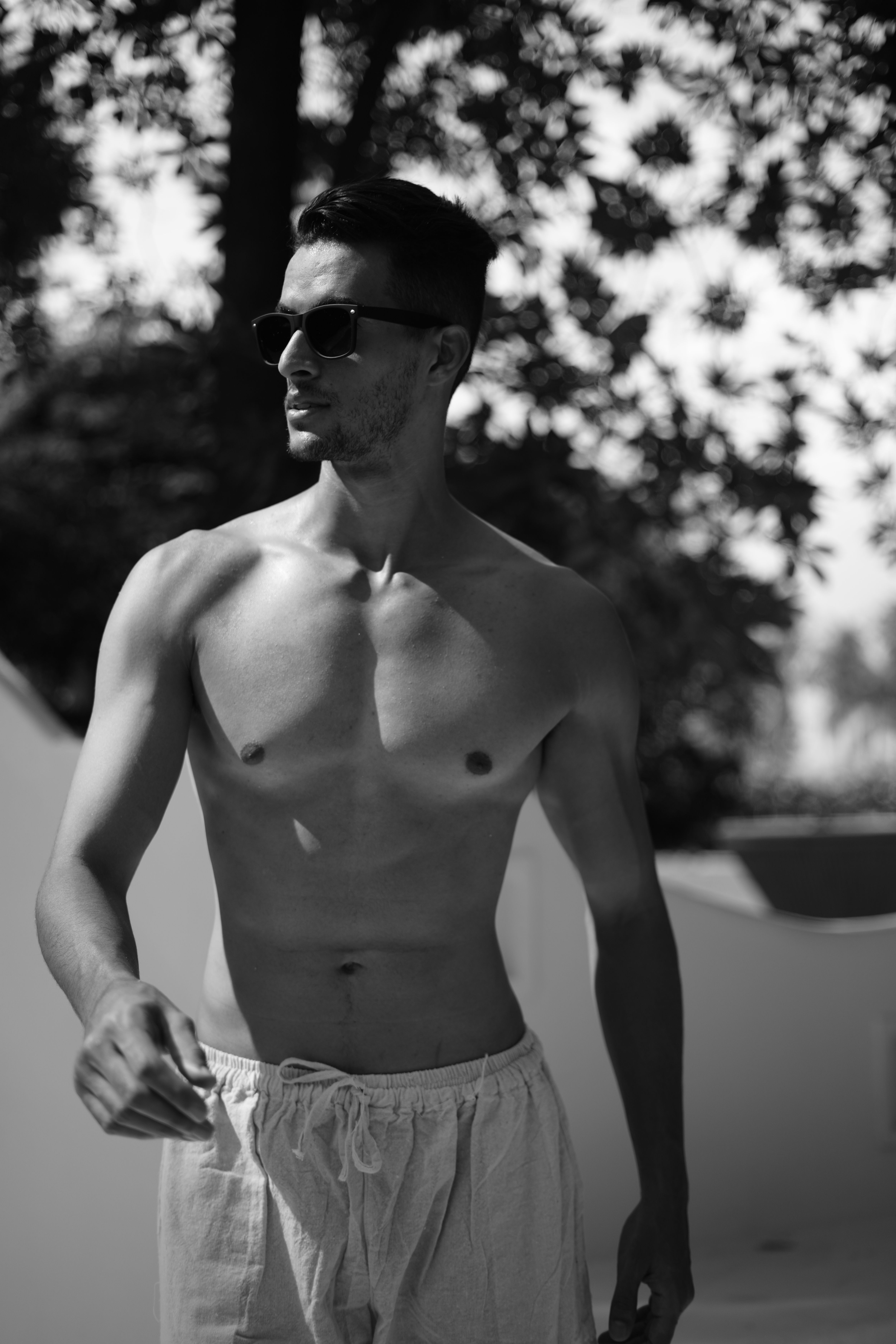 Torso Tree Photos, Download The BEST Free Torso Tree Stock Photos & HD ...