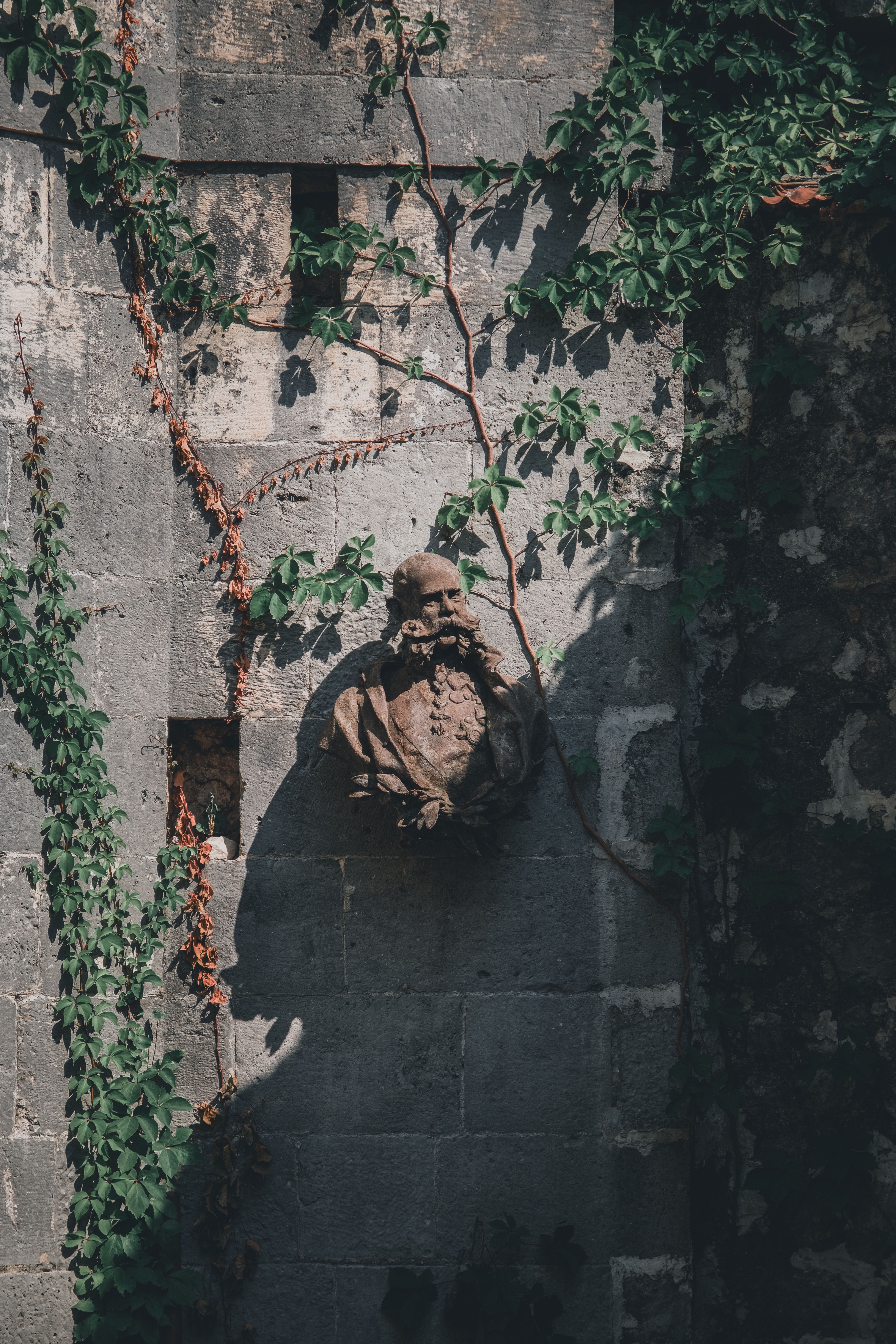 A statue of a man on a wall with vines · Free Stock Photo