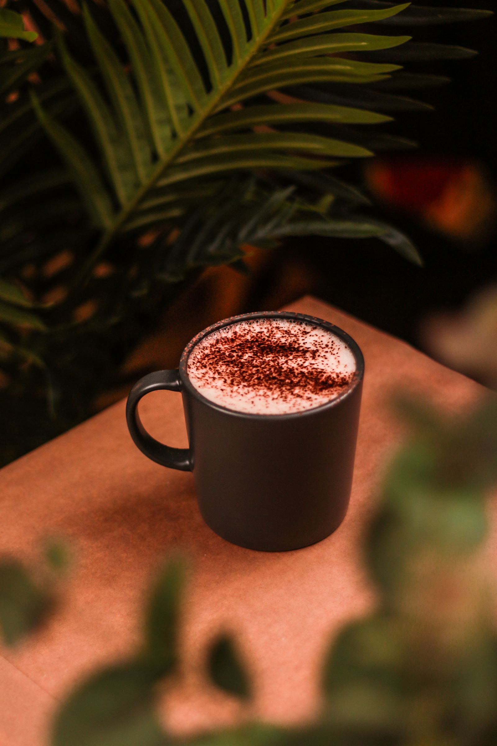 Coffe Beans Photos, Download The BEST Free Coffe Beans Stock Photos ...