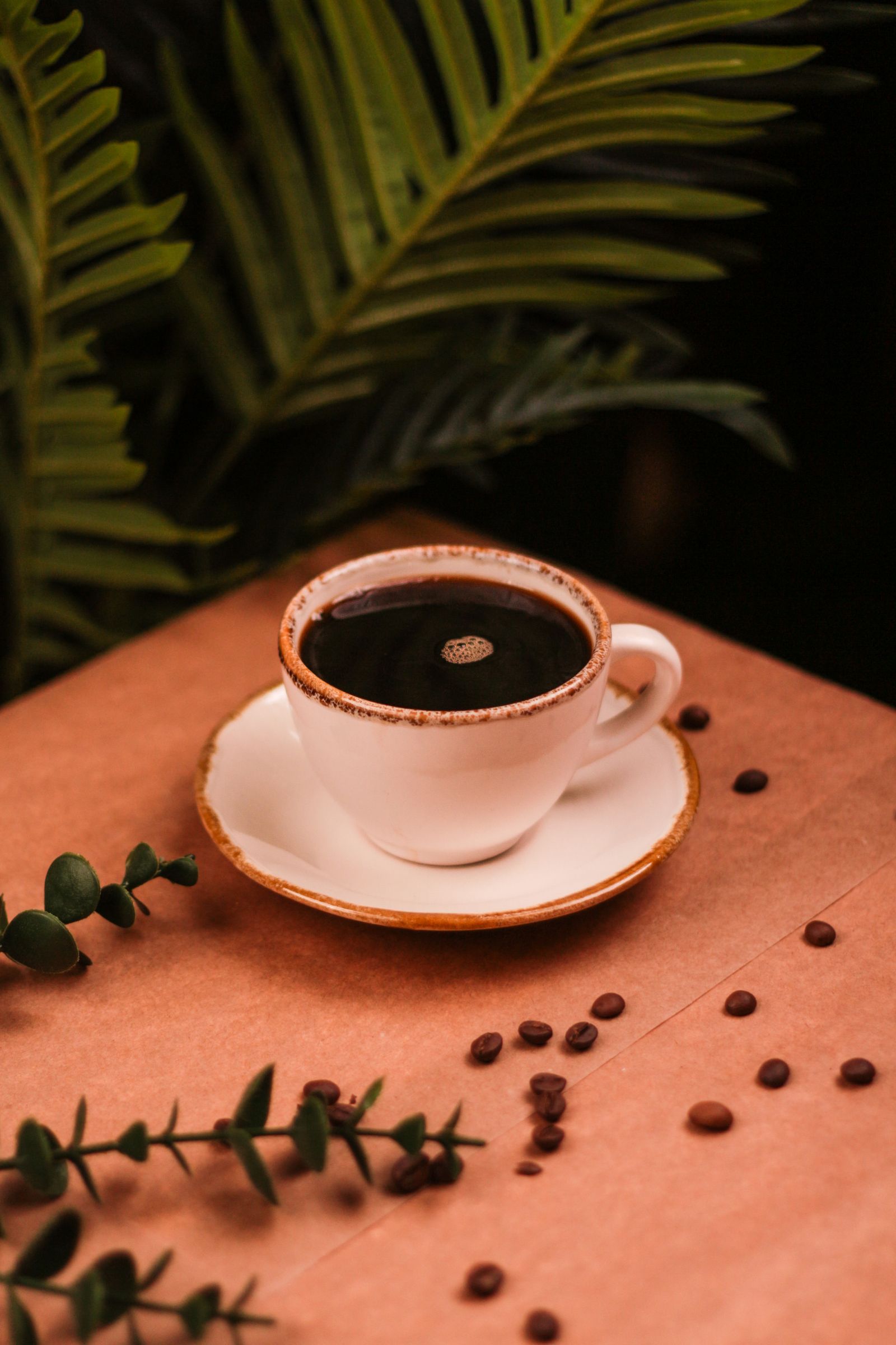 Coffe Beans Photos, Download The BEST Free Coffe Beans Stock Photos ...