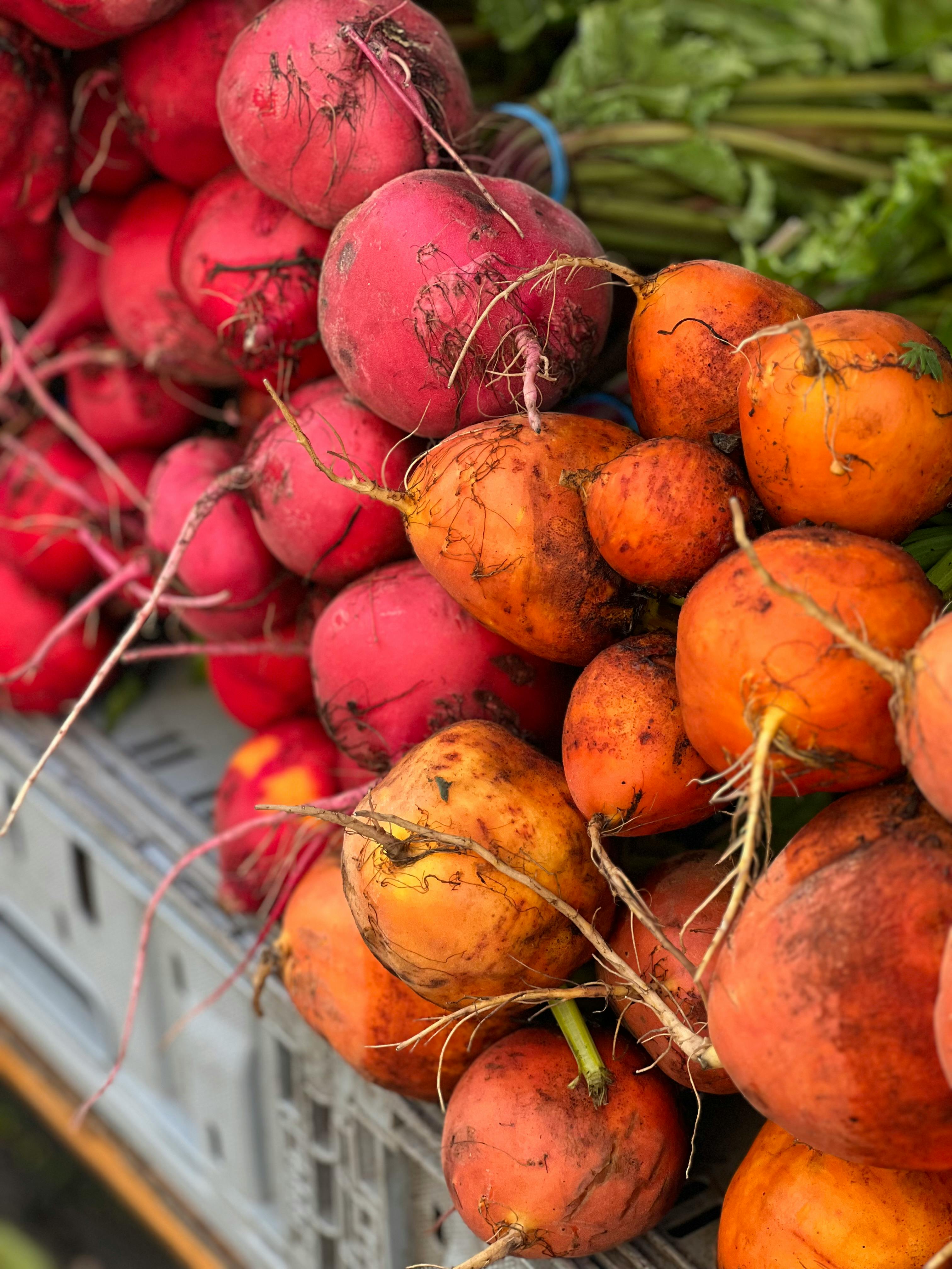 A bunch of radishes and beets are on display · Free Stock Photo