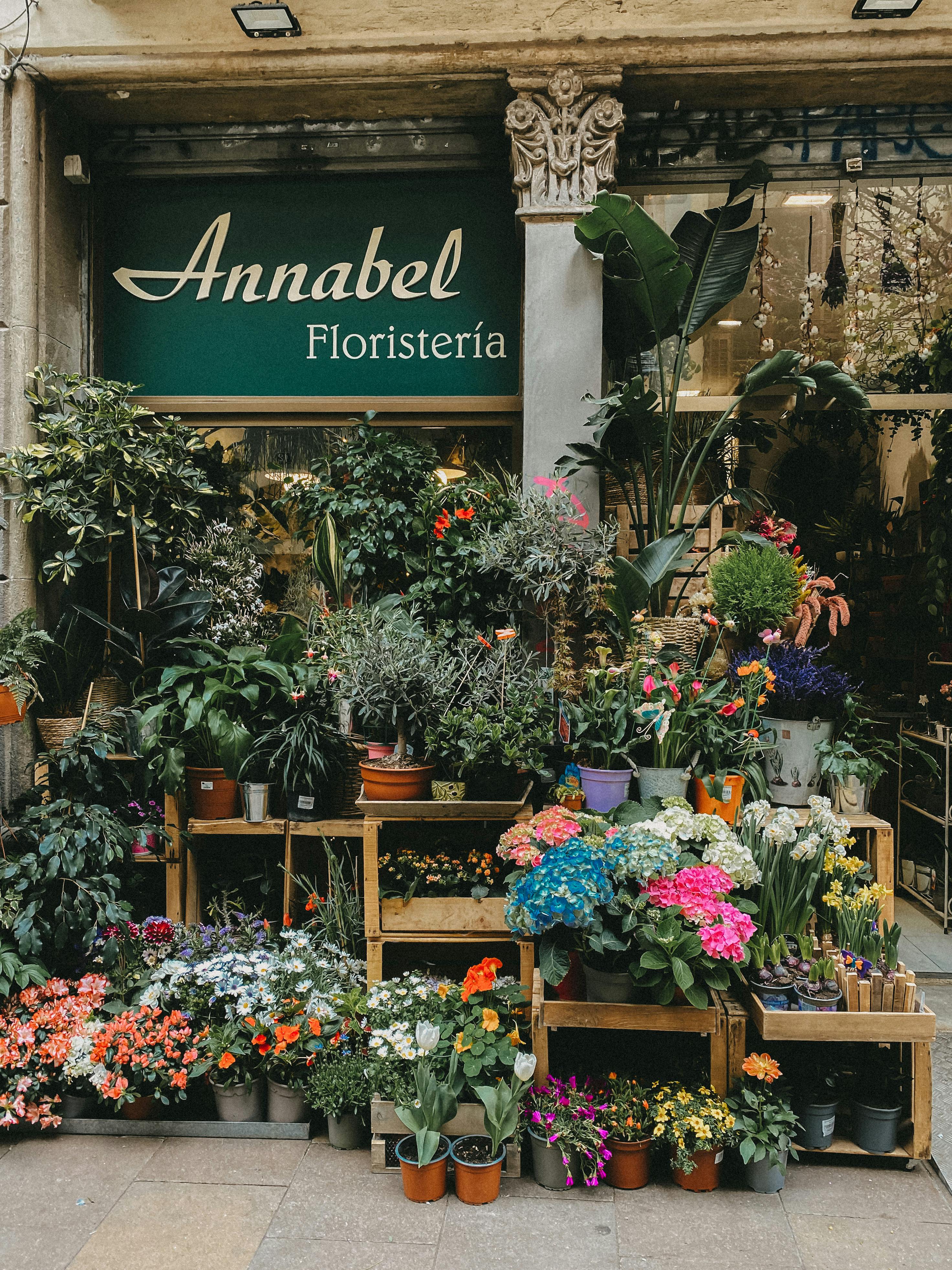 Florist Shop Photos, Download The BEST Free Florist Shop Stock Photos ...