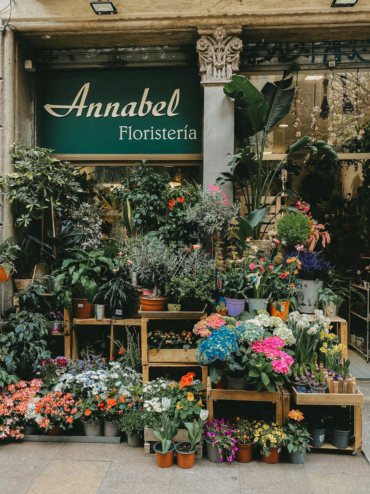 Florist Shop Photos, Download The BEST Free Florist Shop Stock Photos ...