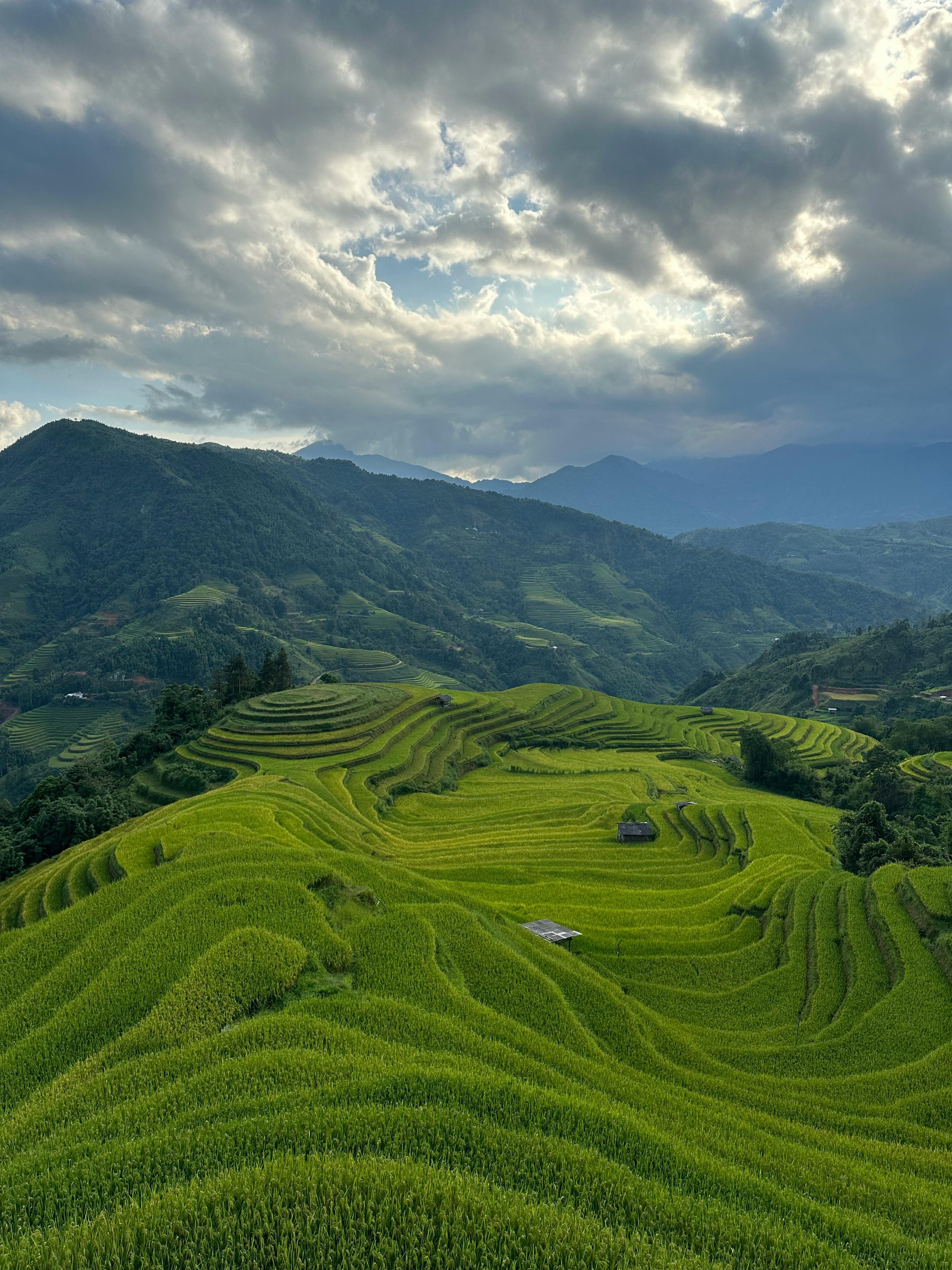China Rice Fields Photos, Download The BEST Free China Rice Fields ...