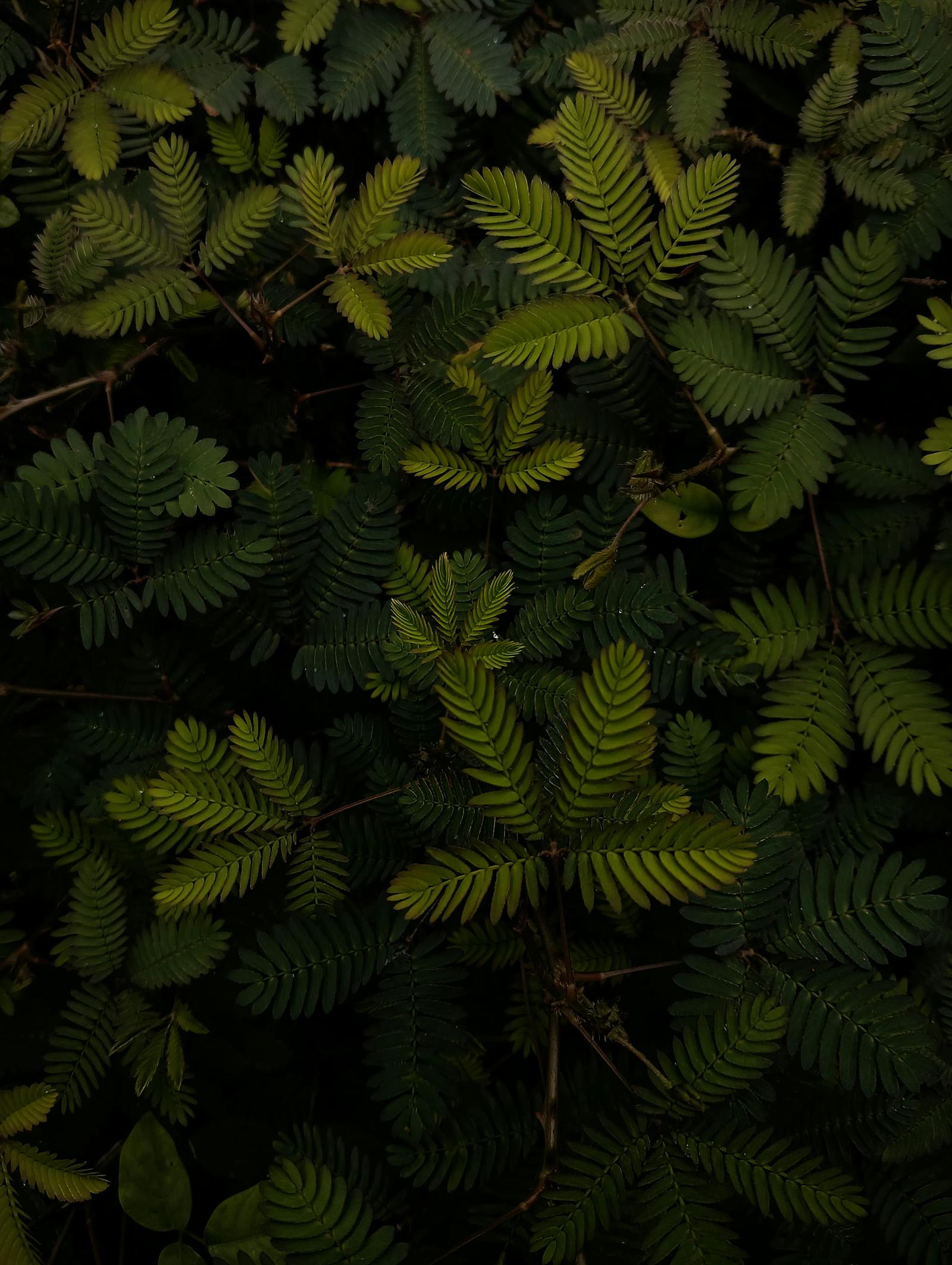 Free Sample Image Photos, Download The BEST Free Free Sample Image ...