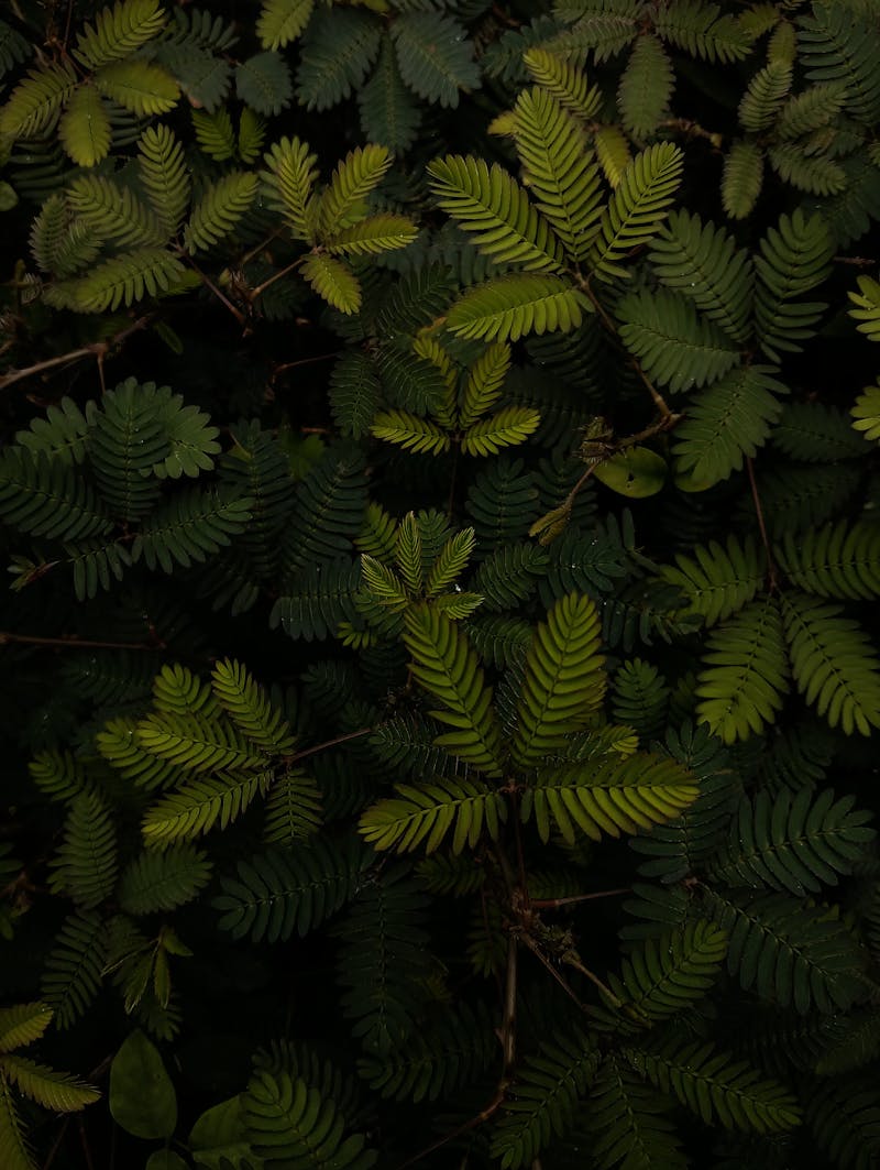 Free Sample Image Photos, Download The BEST Free Free Sample Image ...