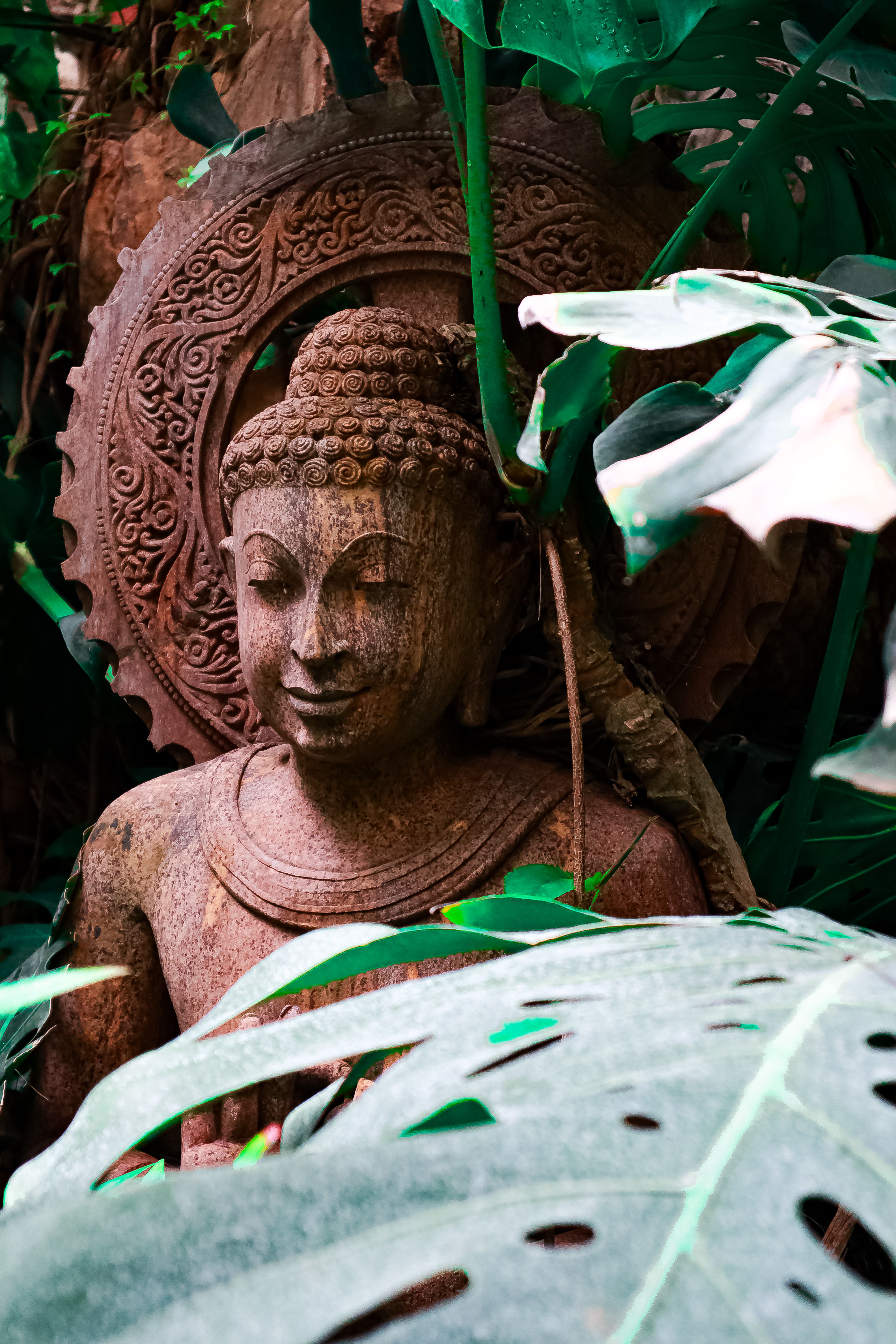 Peaceful Buddha statue amidst lush greenery outdoors · Free Stock Photo