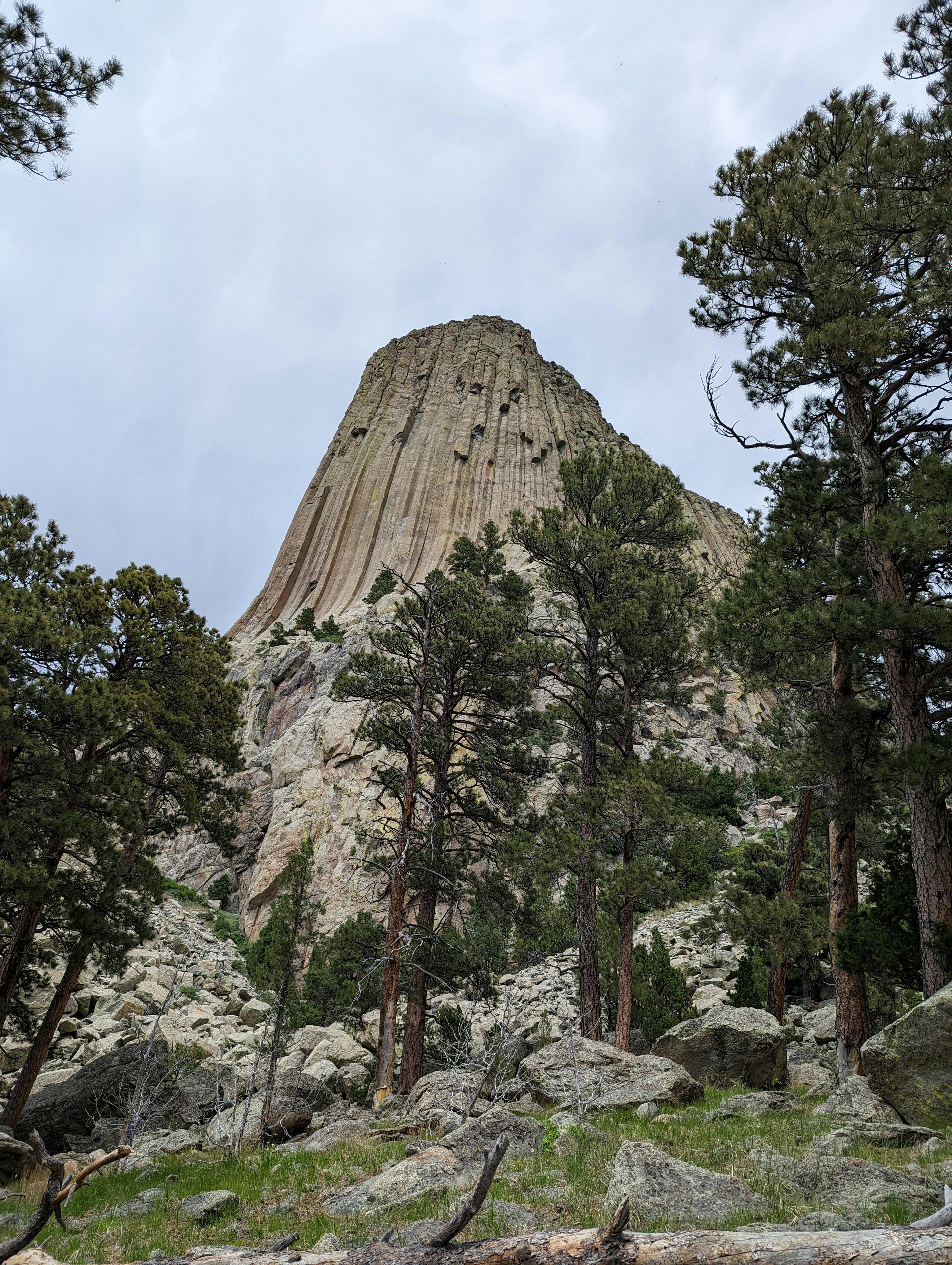 Green Trees Near Rock Formation · Free Stock Photo