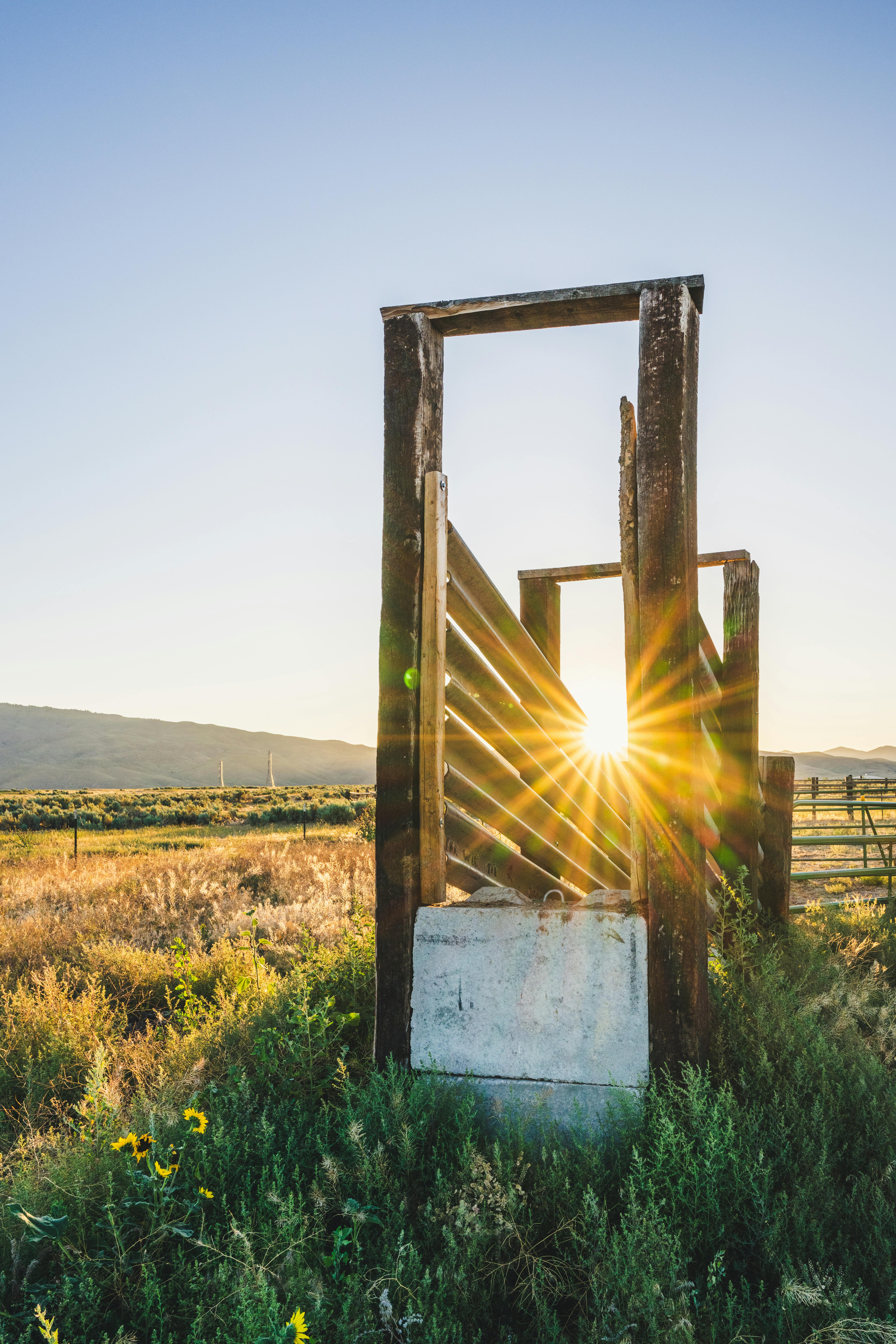 Sunrise over the sagebrush in the sagebrush desert · Free Stock Photo