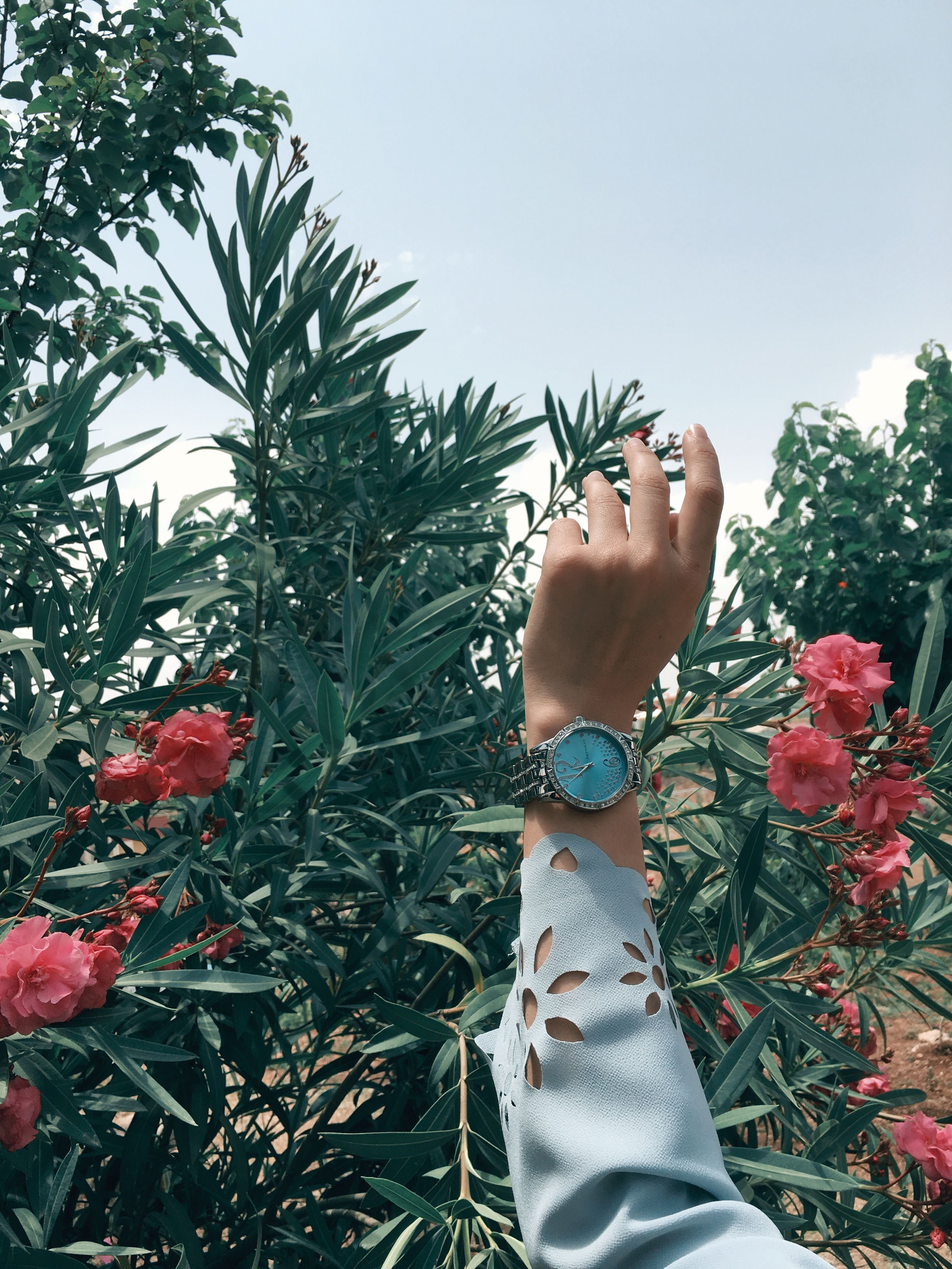 A woman's hand holding a watch in front of flowers · Free Stock Photo