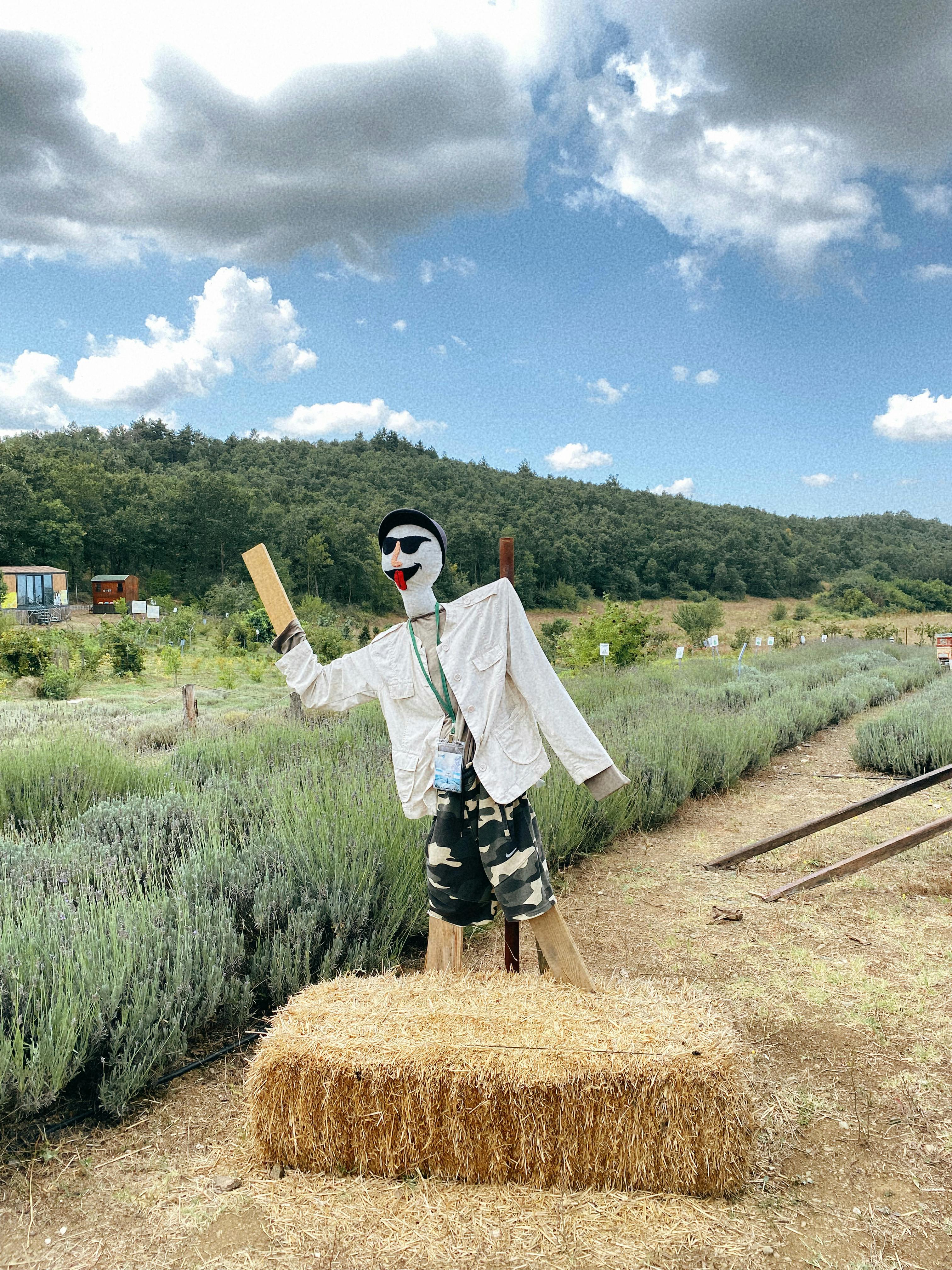 A scarecrow with a baseball cap and a mask · Free Stock Photo