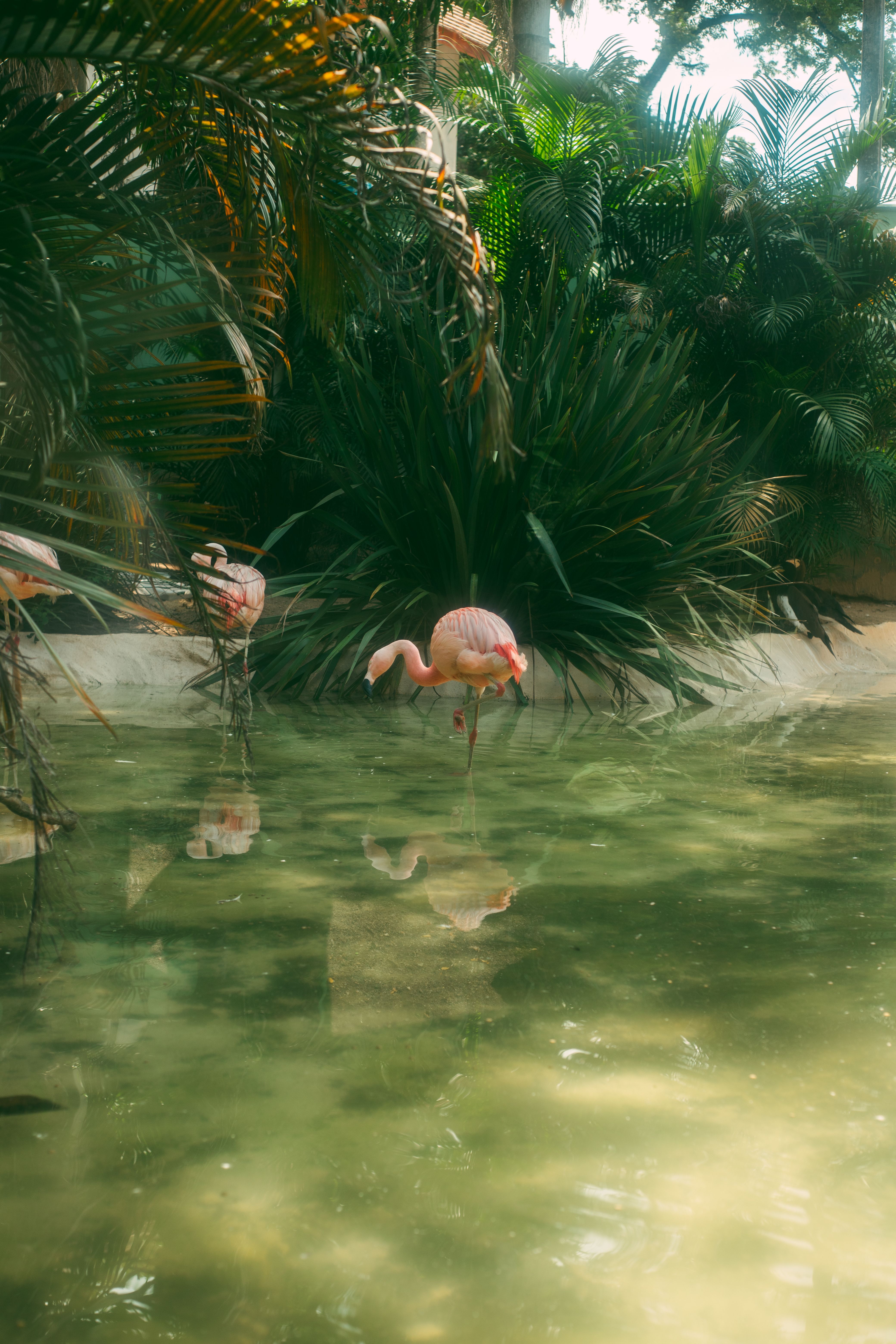 Water Oasis Photos, Download The BEST Free Water Oasis Stock Photos ...