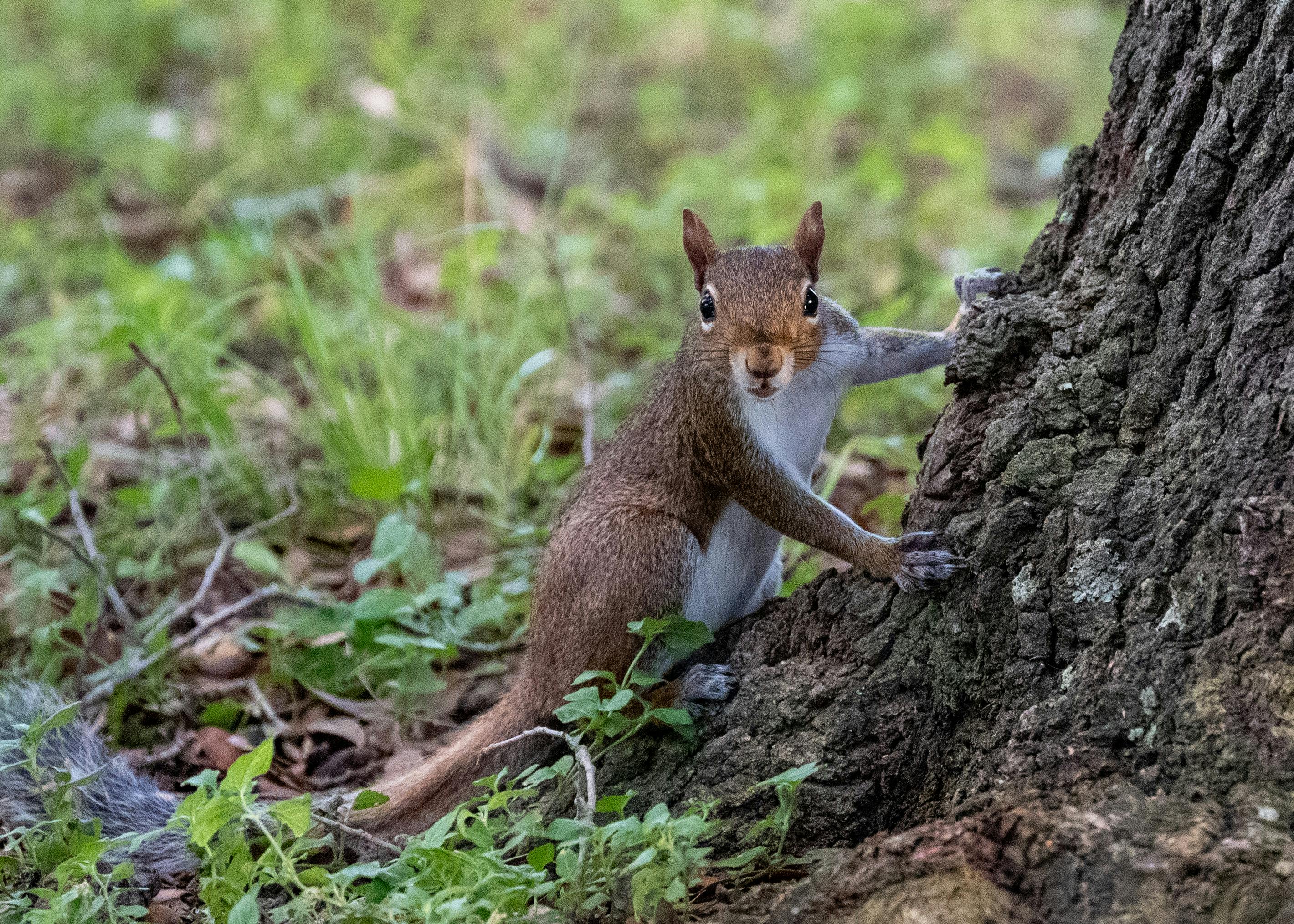 Nurture Photos, Download The BEST Free Nurture Stock Photos & HD Images