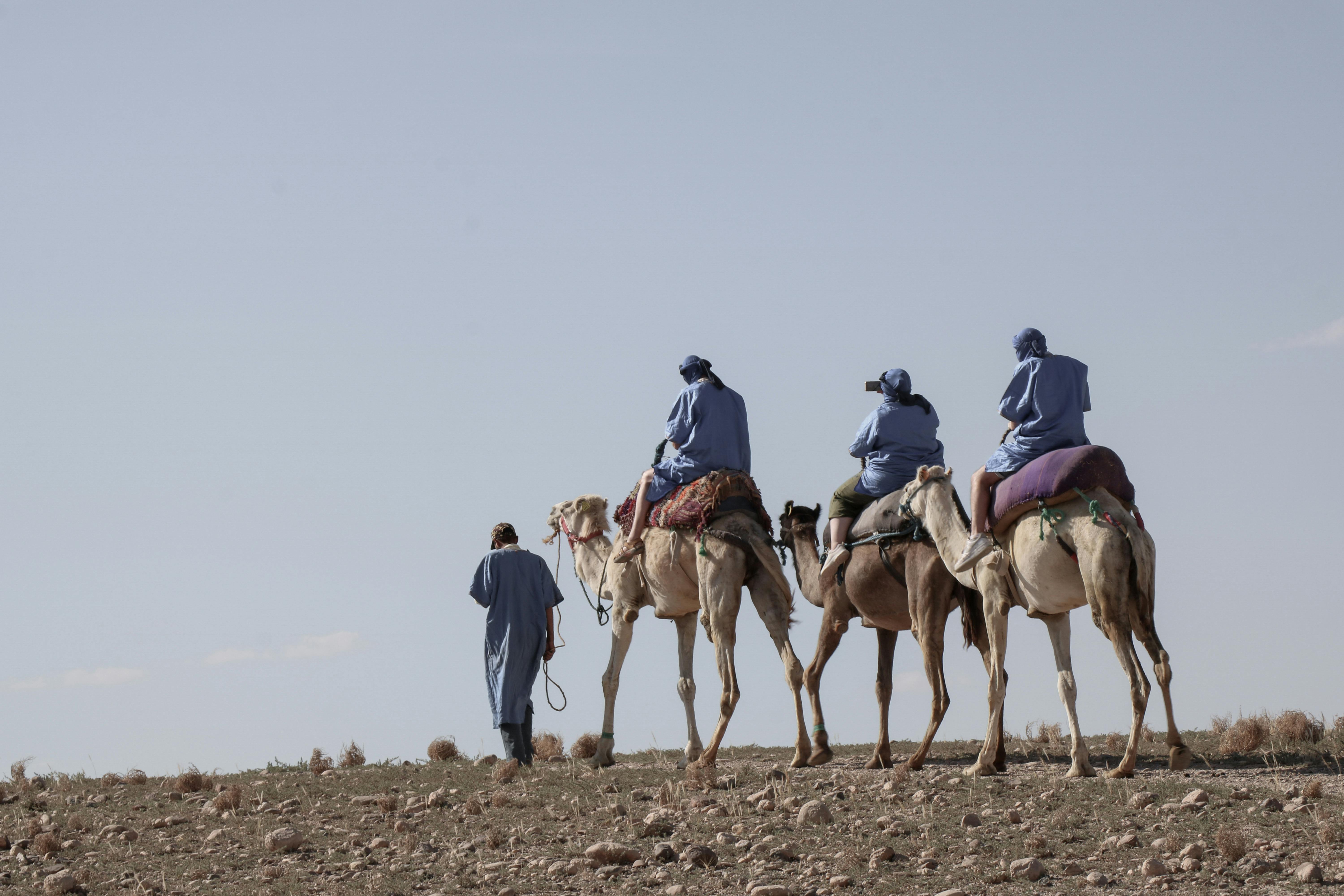 Amazigh Photos, Download The BEST Free Amazigh Stock Photos & HD Images